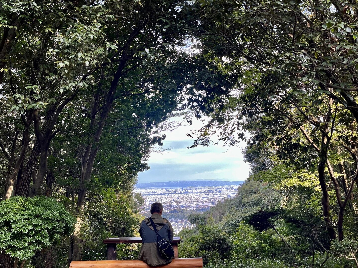 少しロングに阿武山越え / ミカン de mikanさんの竜王山・阿武山の活動データ | YAMAP / ヤマップ