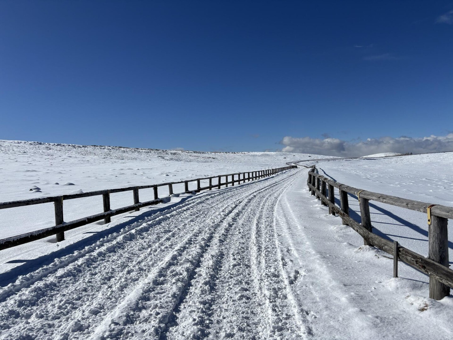 美ヶ原（王ヶ頭） / chihiroさんの美ヶ原の活動データ | YAMAP / ヤマップ