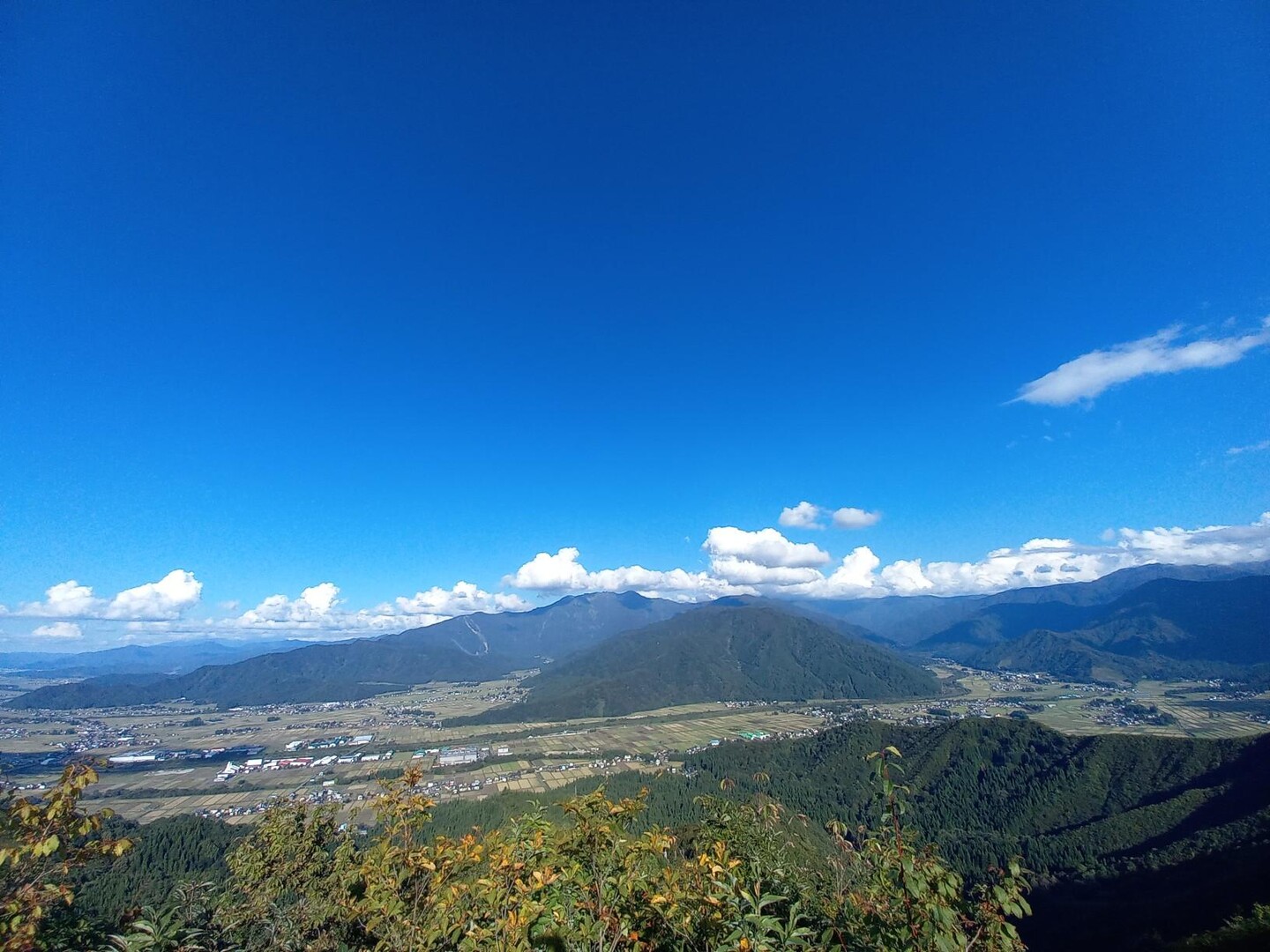 坂戸山103 さわやかな晴れ / 猫山歩(nekosanpo)さんの坂戸山の活動データ | YAMAP / ヤマップ