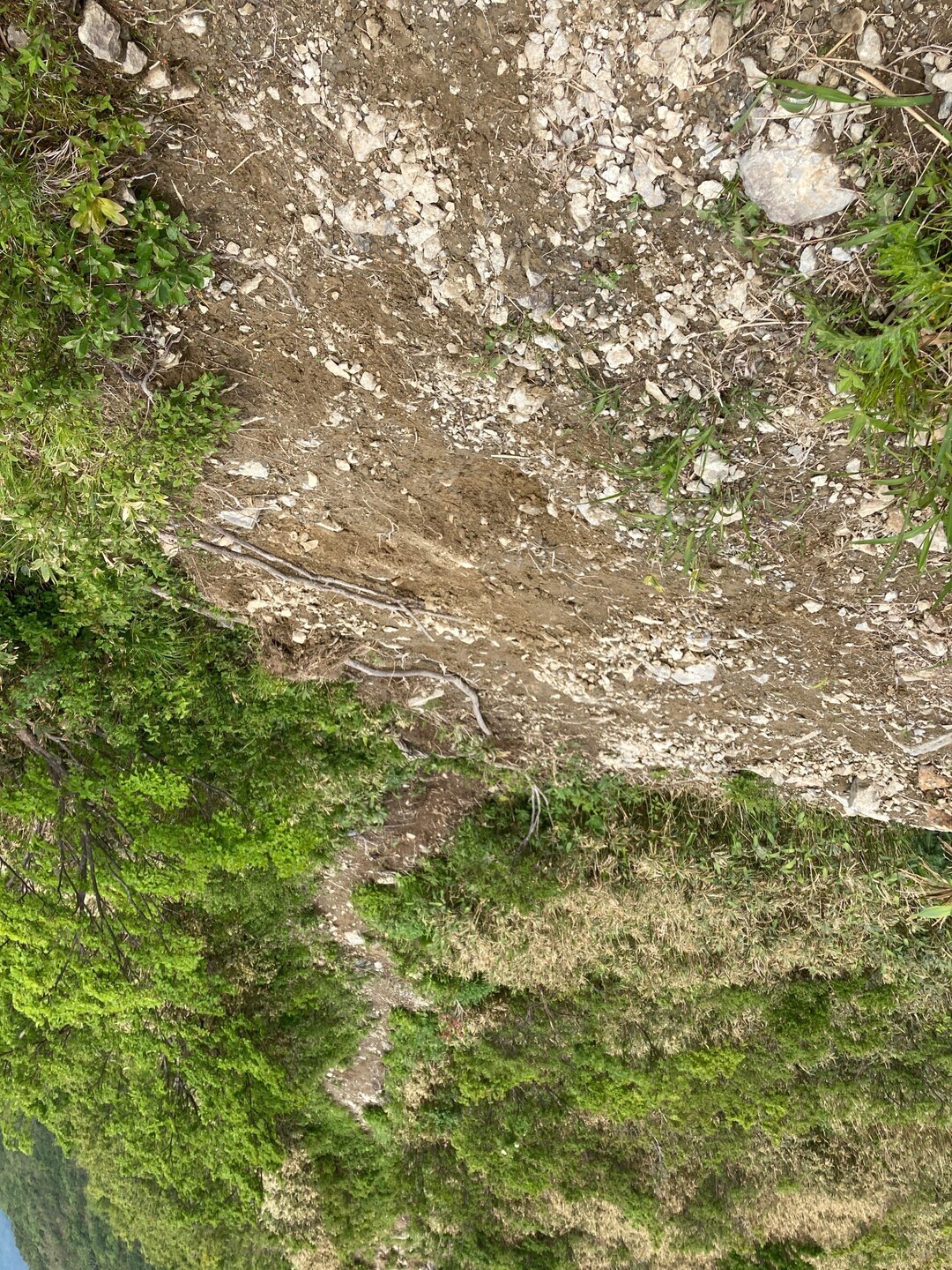 dark knightさんの投稿したフィールドメモ | YAMAP / ヤマップ