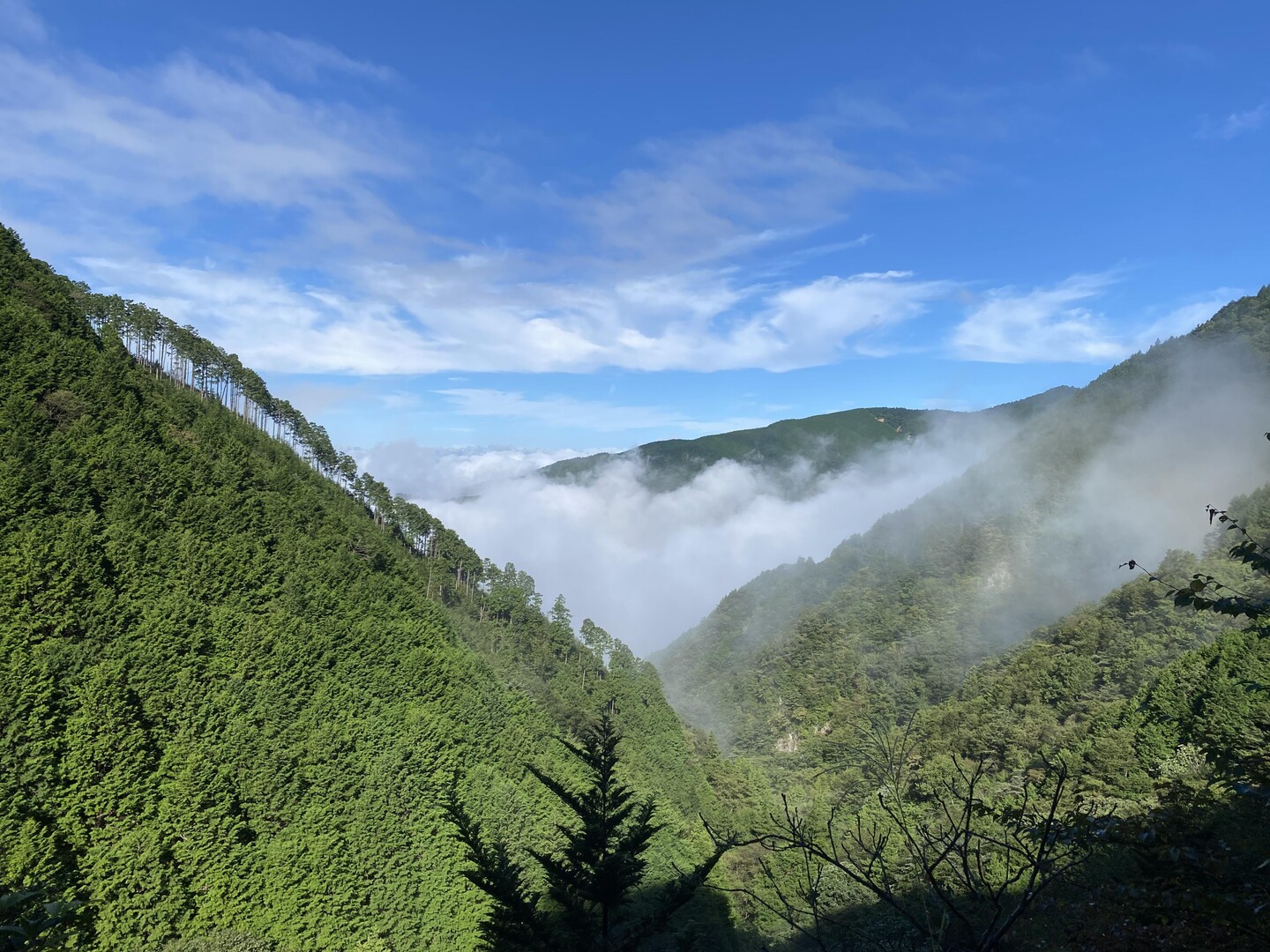 東海地方発‼️40代.50代からの登山仲間募集‼️／^o^\ / YAMAP の山コミュニティ | YAMAP / ヤマップ