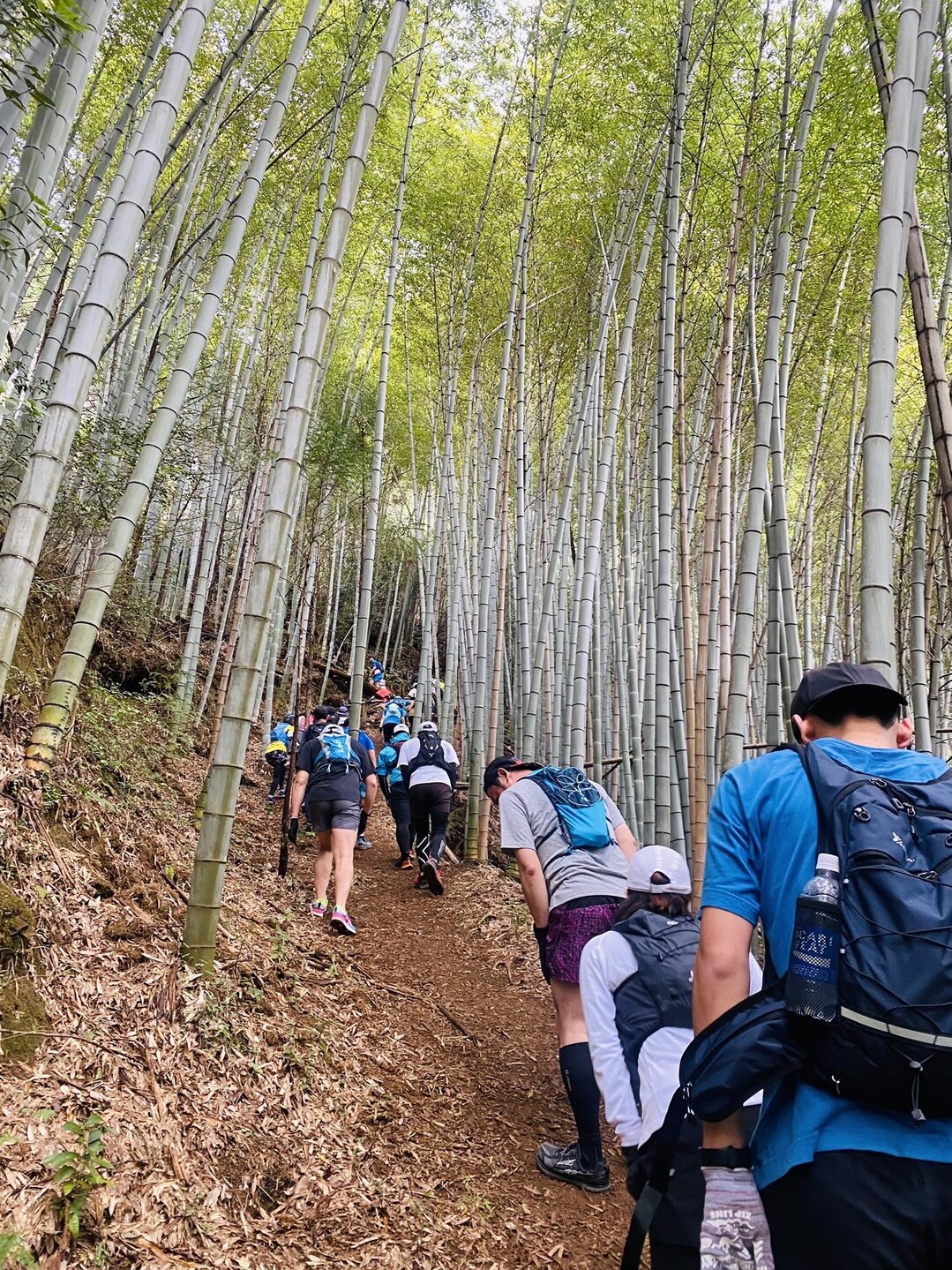 人生初トレラン！「第25回青梅高水国際トレイルラン」 / yoshi-Kiさんの高水山・岩茸石山・惣岳山の活動データ | YAMAP / ヤマップ