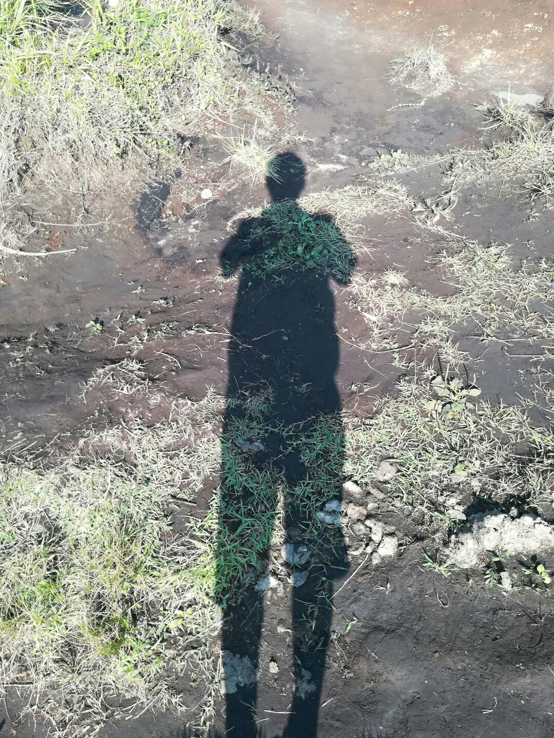 yoのページ | YAMAP / ヤマップ