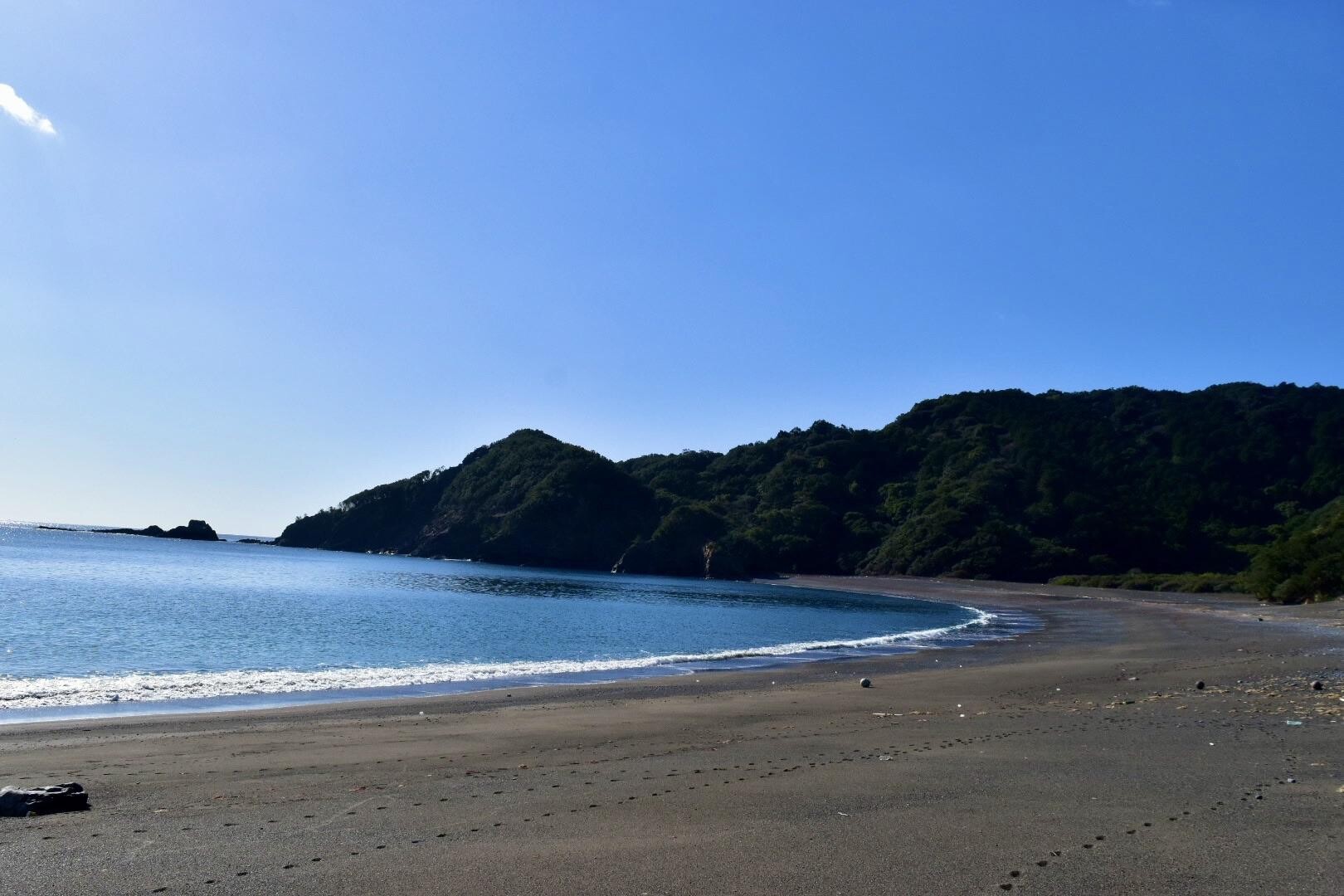 前姫越・姫越山 / mitsu32さんの姫越山の活動データ | YAMAP / ヤマップ