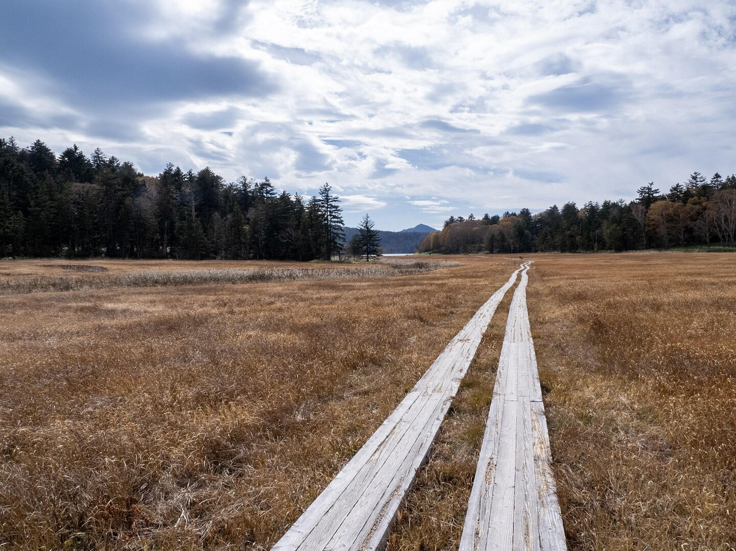 晩秋の尾瀬 / samiさんの尾瀬・燧ヶ岳の活動データ | YAMAP / ヤマップ