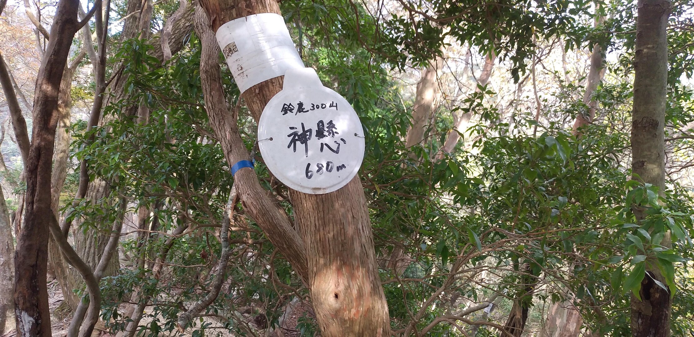 神懸・南コブ・ネコ・笠岳・馬ノ背 / huuroさんの御在所岳（御在所山）・雨乞岳の活動データ | YAMAP / ヤマップ