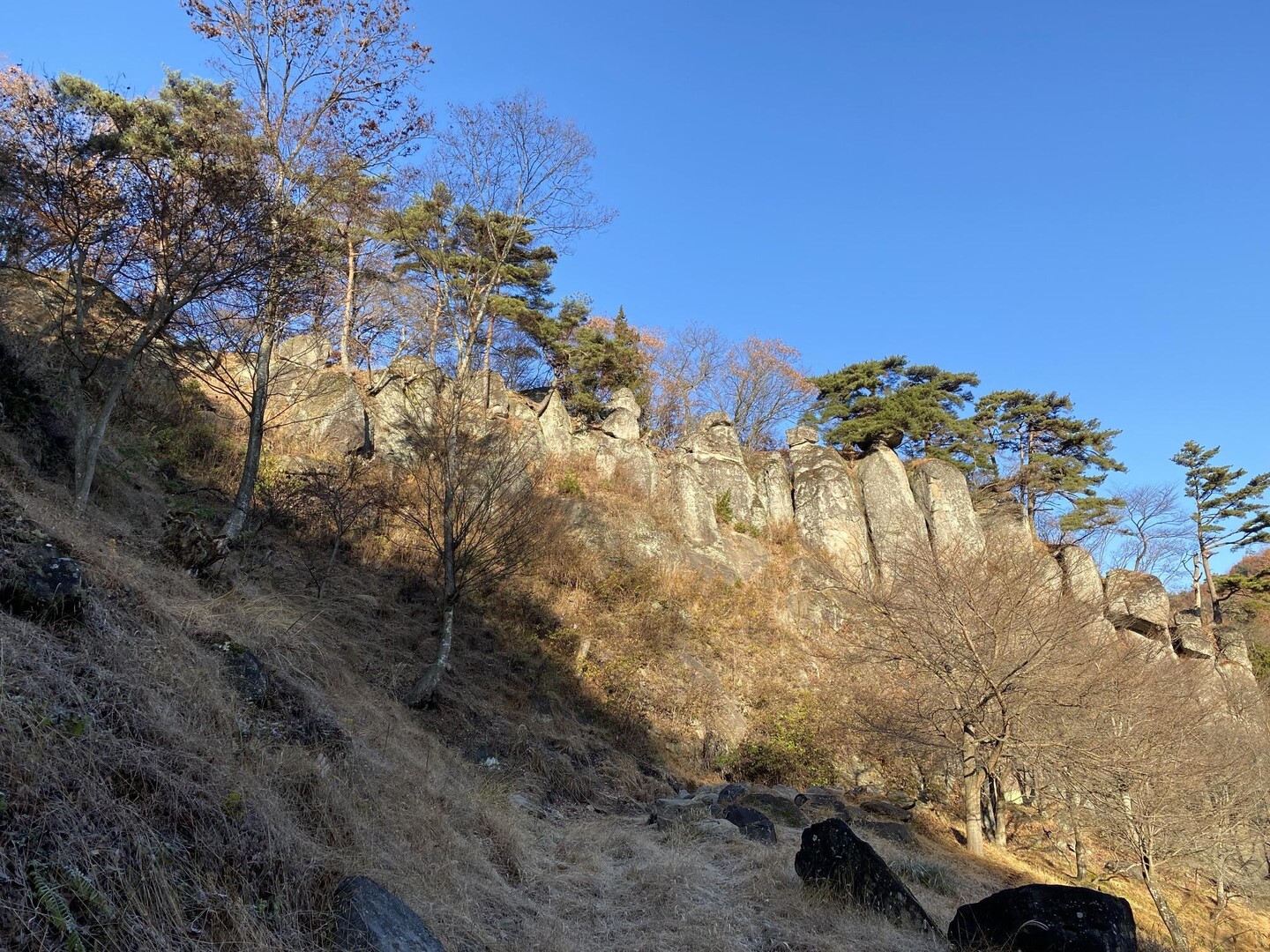 ウォーキング-2023-11-27 / Patさんのハイキングの活動データ | YAMAP / ヤマップ