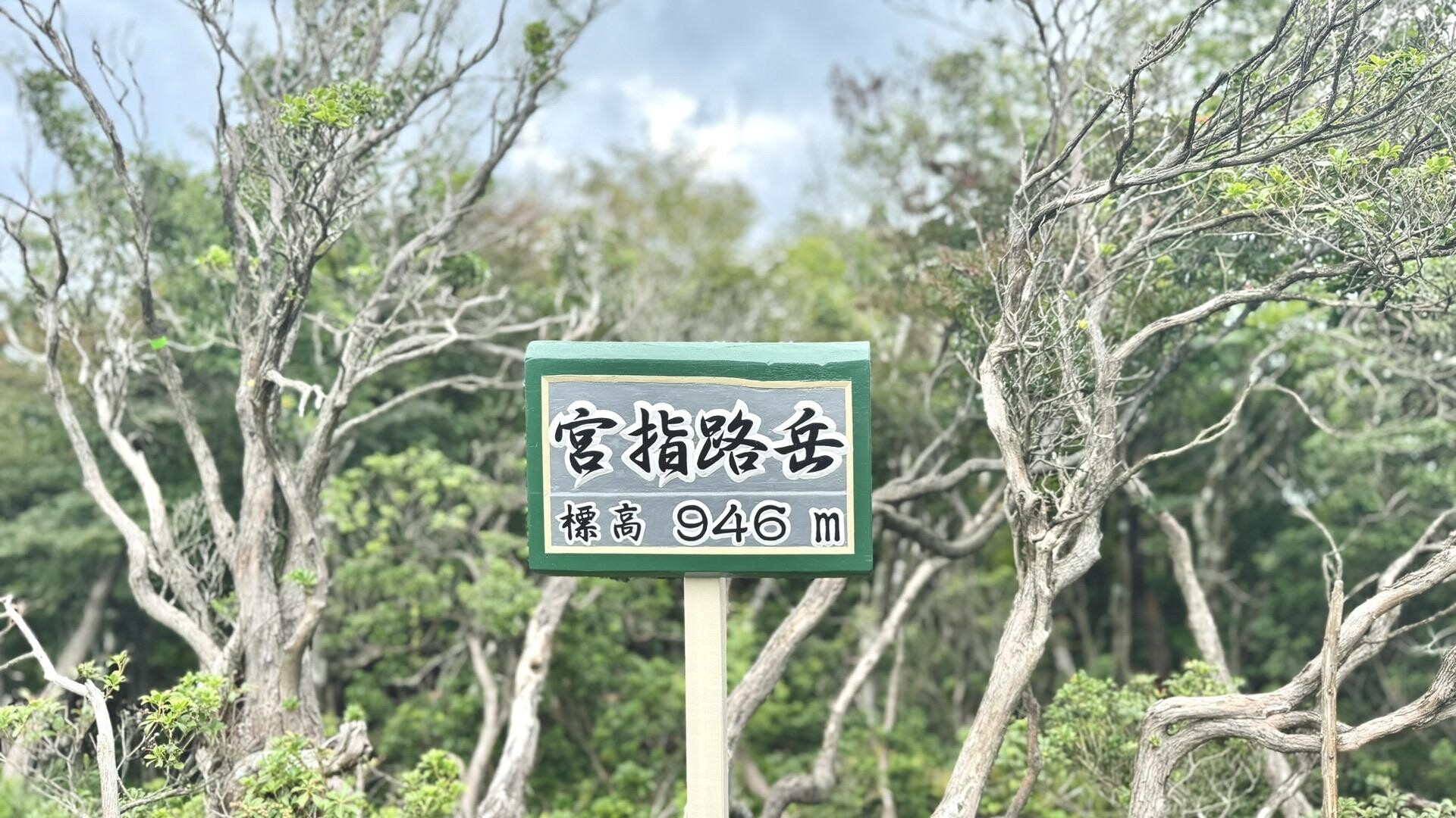 入道ヶ岳・宮指路岳 / llm.llさんの入道ヶ岳・鎌ヶ岳・仙ヶ岳の活動データ | YAMAP / ヤマップ