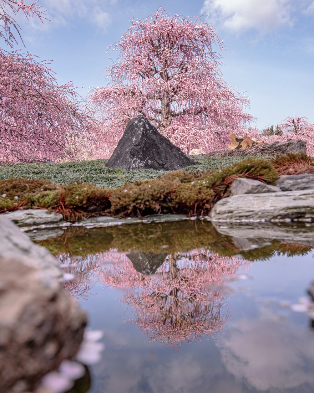 今日は鈴鹿の森庭園でぷにもちさんと撮影会... / nao🤪さんのモーメント | YAMAP / ヤマップ