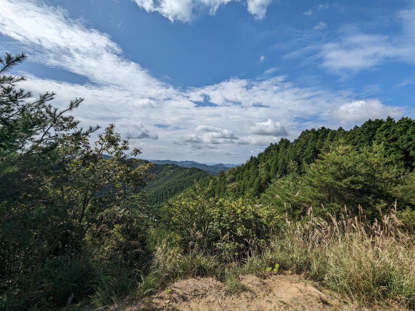 tkhsさんの投稿したフィールドメモ | YAMAP / ヤマップ