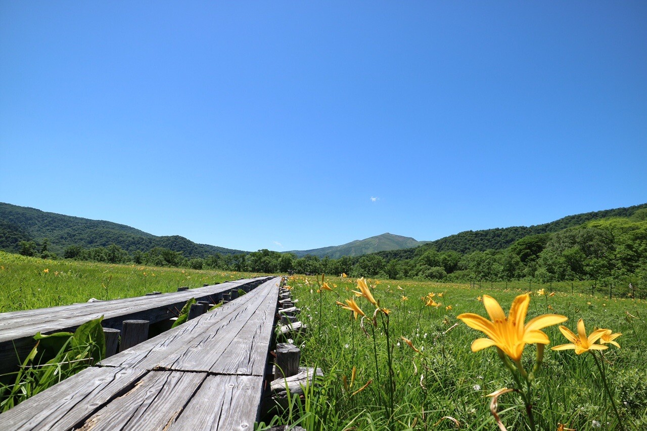 尾瀬ヶ原-2021-07-18 / KJさんの尾瀬・至仏山・悪沢岳・笠ヶ岳の活動データ | YAMAP / ヤマップ