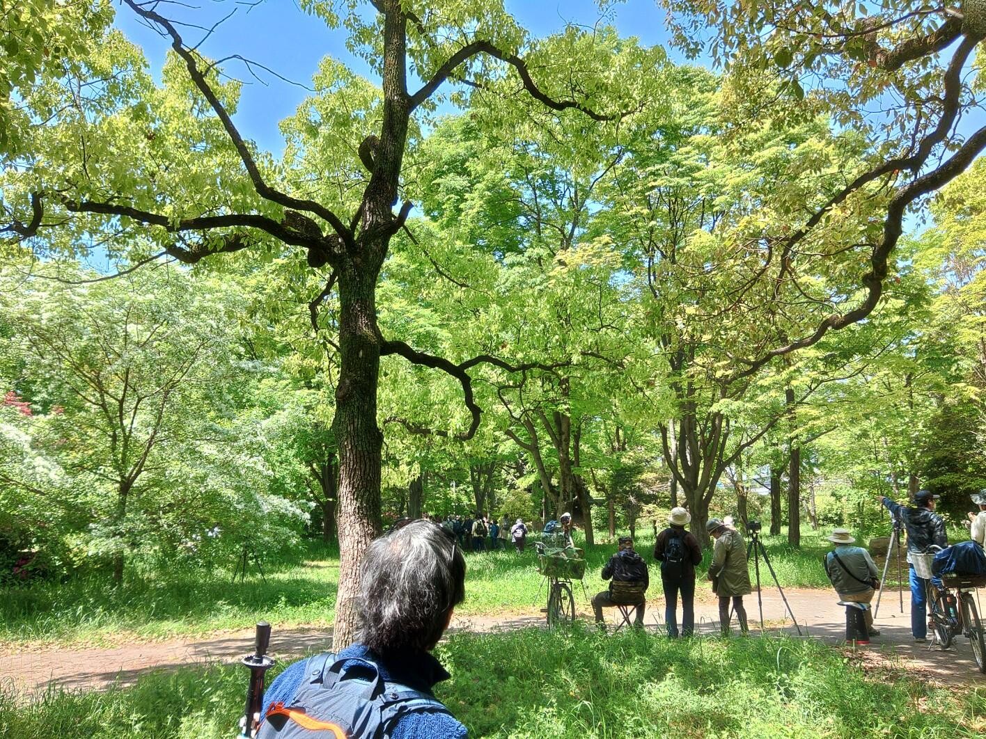 春の渡り鳥を求めて －南港野鳥園と大阪城公園－ / salmaさんのウォーキングの活動データ | YAMAP / ヤマップ
