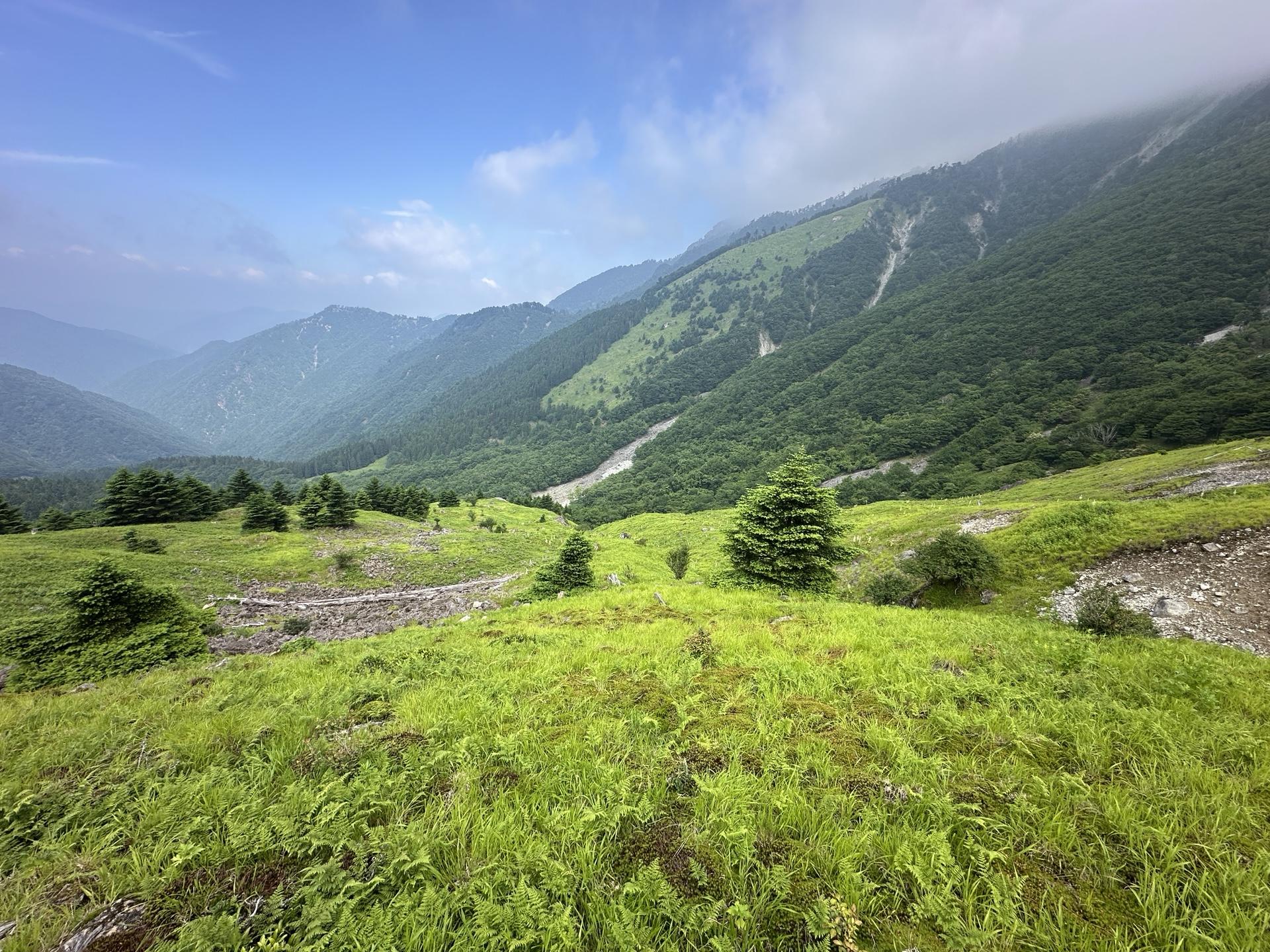 神仙平とアケボノ平へ🐱七面山を歩いてきました🐈 / hanちゃんさんの八経ヶ岳の活動データ | YAMAP / ヤマップ