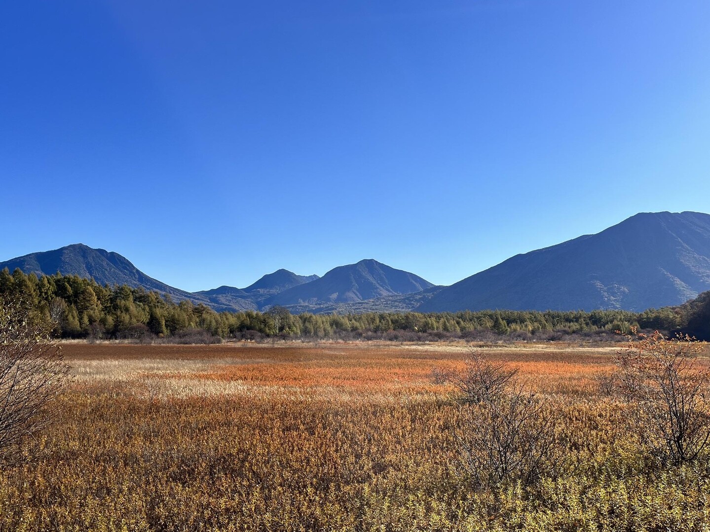 紅葉を見に小田代ヶ原&戦場ヶ原へ🐾 / hachacha-umemeさんの日光白根山・五色山・錫ヶ岳の活動データ | YAMAP / ヤマップ