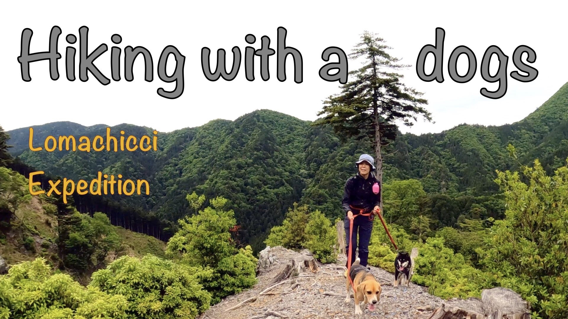 https://youtu.be/gmx... / 山旅犬🐶ロマチッチ lomachicciさんのモーメント | YAMAP / ヤマップ