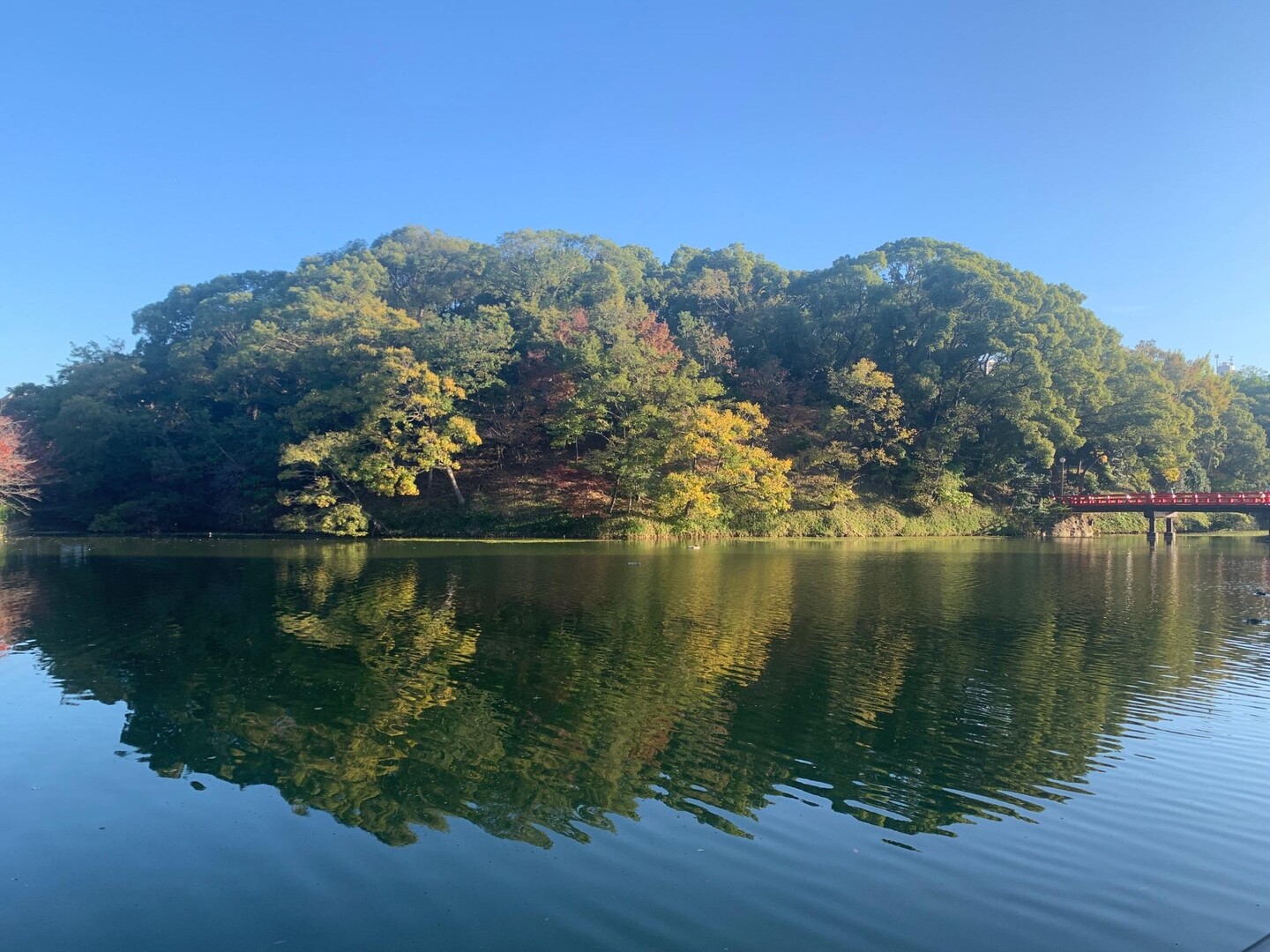 都会のオアシス 茶臼山・御勝山・真田山 / rokoさんの大阪市の活動データ | YAMAP / ヤマップ