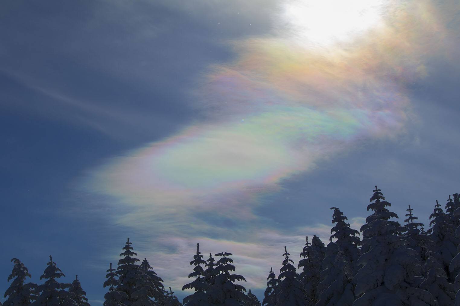 縞枯山・北横岳（南峰）・北横岳（北峰） / zukiさんの蓼科山・横岳・縞枯山の活動データ | YAMAP / ヤマップ