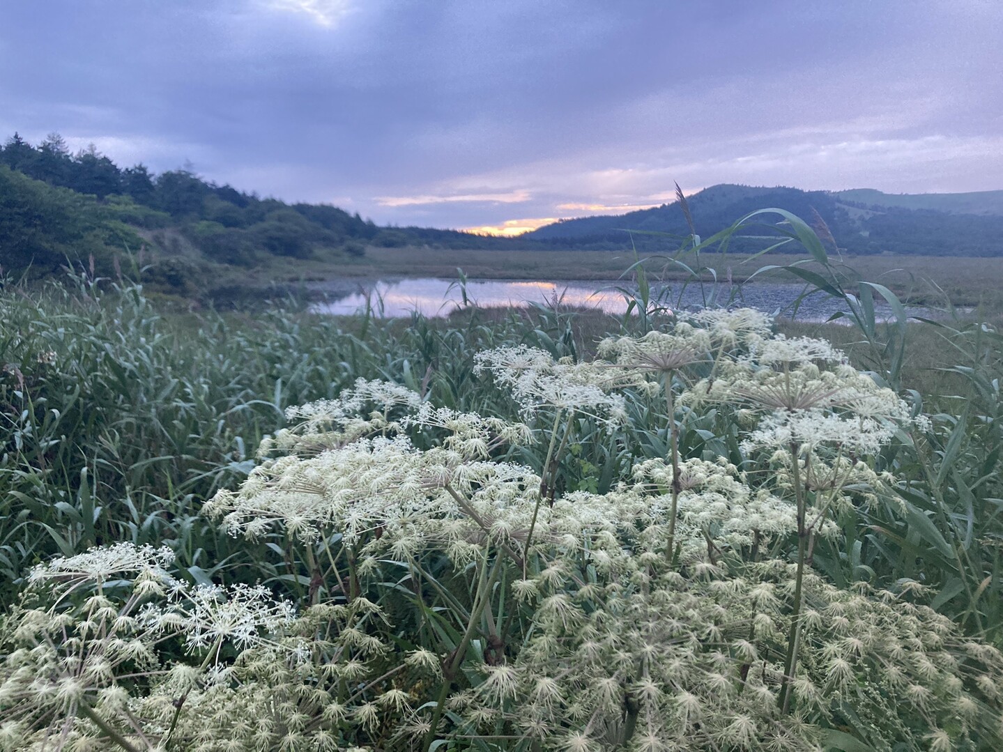 おはようございます🔅🔆 気持ちの良い... / まなさんのモーメント | YAMAP / ヤマップ