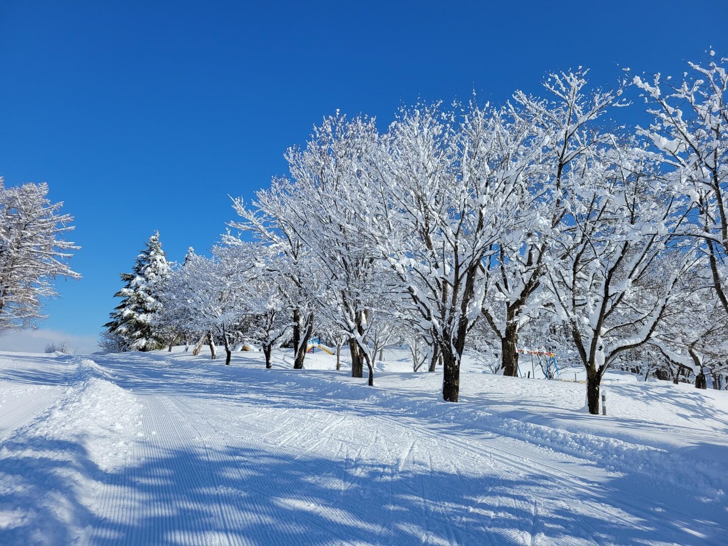 久しぶりの晴天 地元の運動公園へ キ... / maruさんのモーメント | YAMAP / ヤマップ