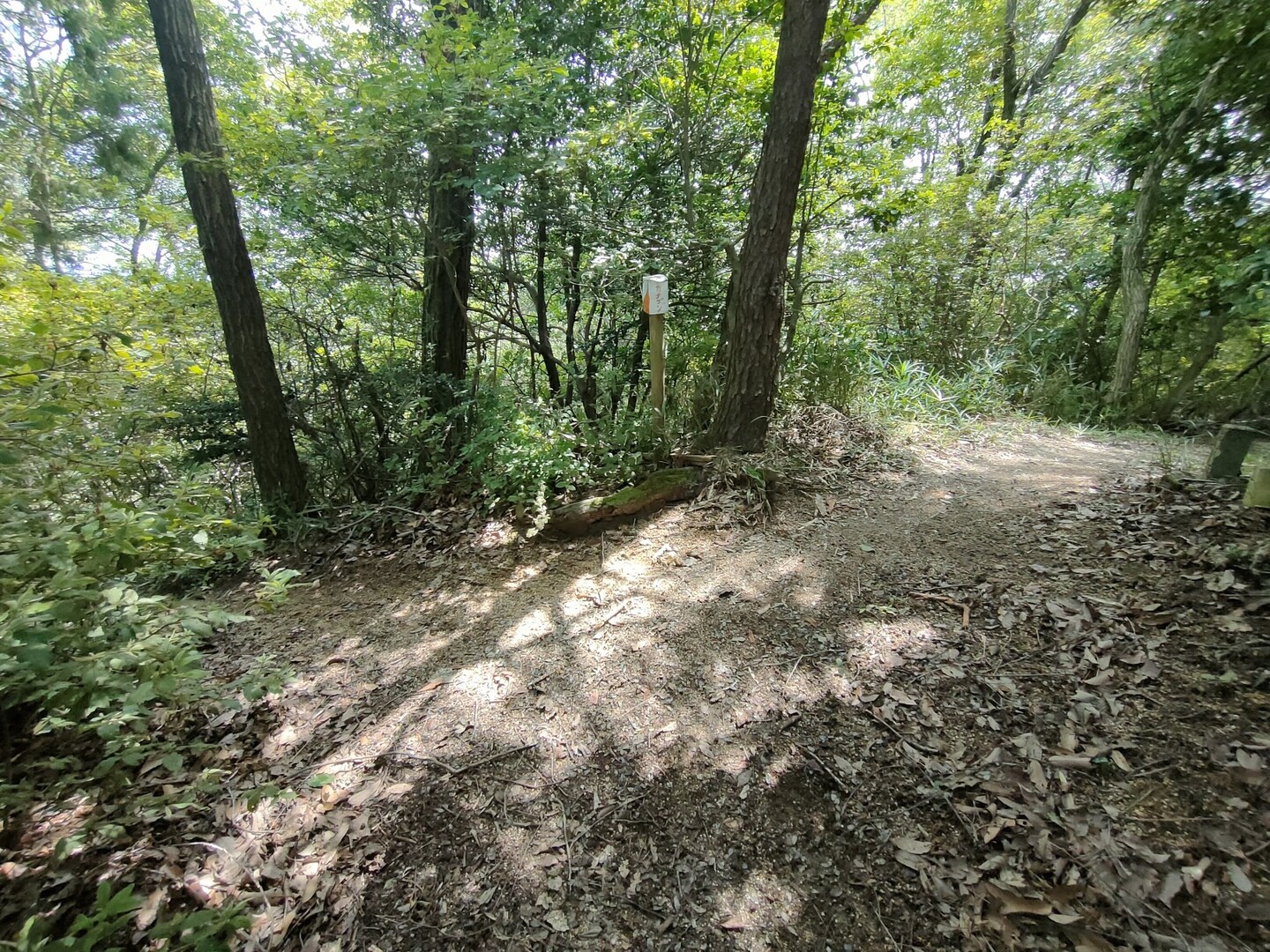 komaJさんの投稿したフィールドメモ | YAMAP / ヤマップ