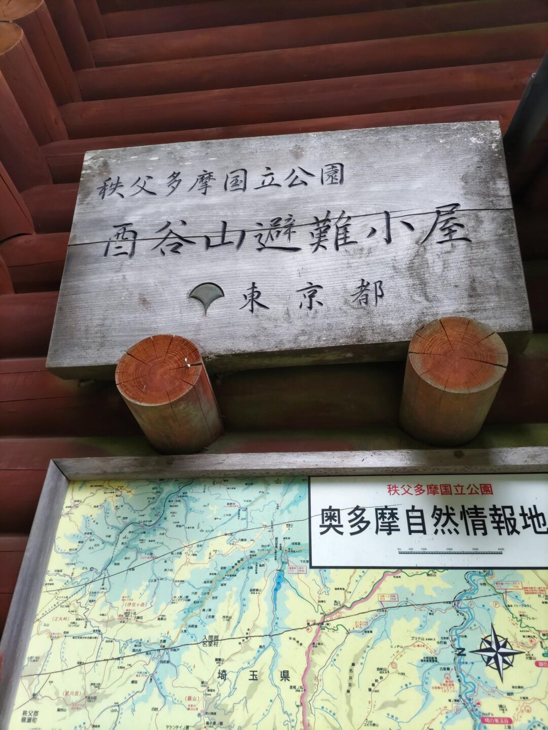 白久〜酉谷山〜三峯神社 / Rioさんの雲取山・鷹ノ巣山・七ツ石山の活動日記 | YAMAP / ヤマップ