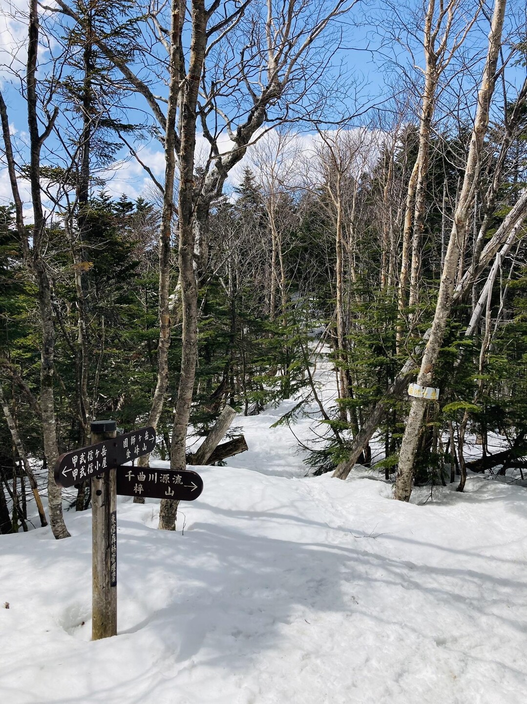 #25 甲武信ヶ岳 / THOMASさんの甲武信ヶ岳の活動データ | YAMAP / ヤマップ