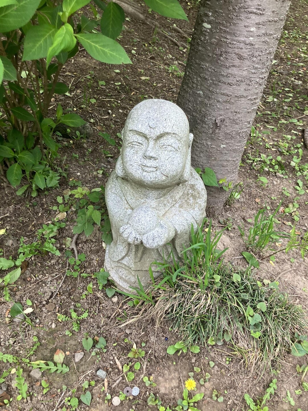 鎌倉アルプスハイキング！ / motoh698さんの鎌倉アルプス（大平山・天台山）の活動データ | YAMAP / ヤマップ