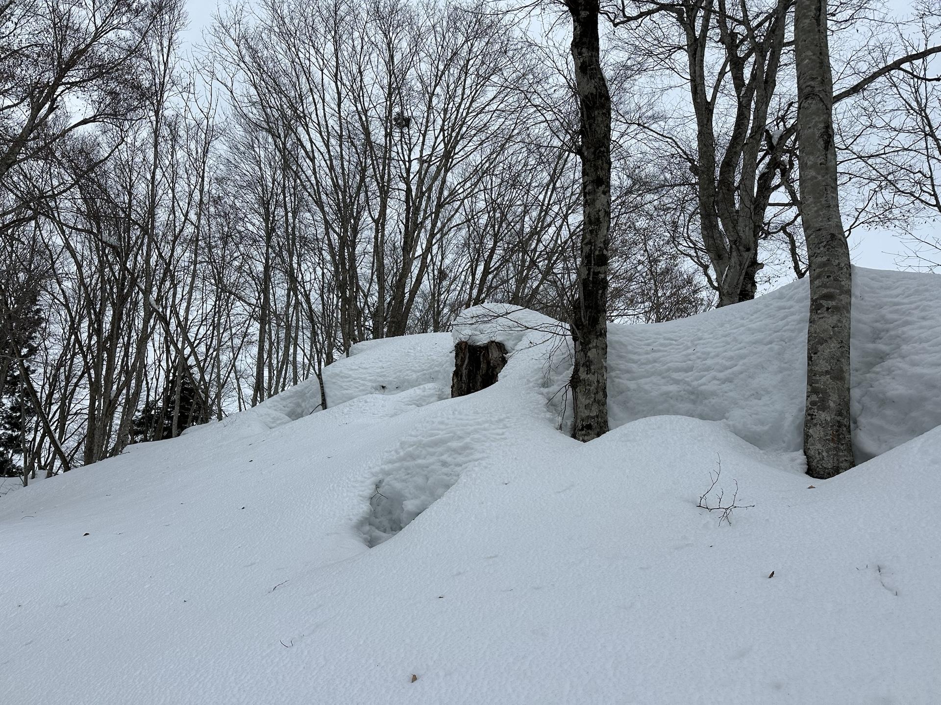 梵珠山・釈迦堂山 / minaさんの梵珠山の活動データ | YAMAP / ヤマップ