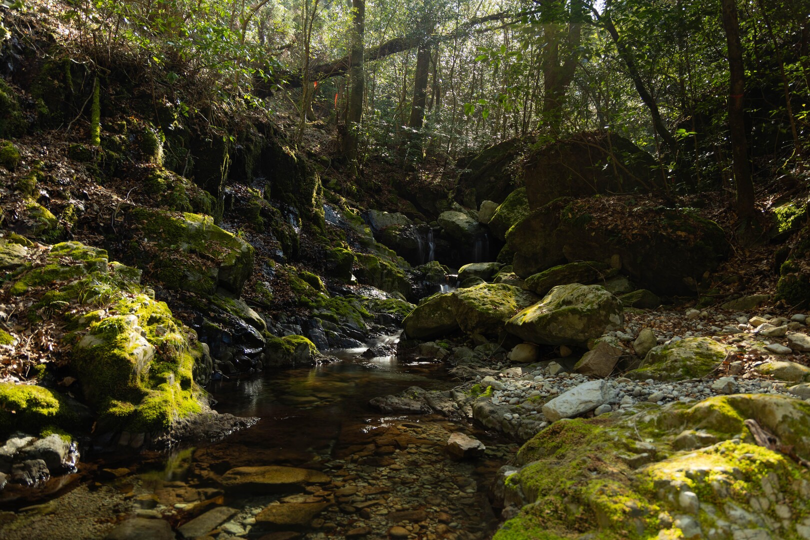春ですね~ / kinjunさんの八方ヶ岳の活動データ | YAMAP / ヤマップ