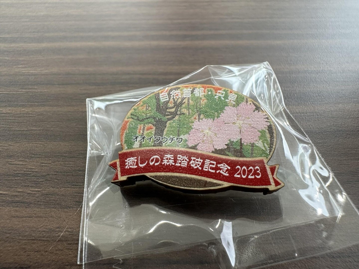 只見・癒しの森2023-07-01 / sakiさんの蒲生岳の活動データ | YAMAP / ヤマップ