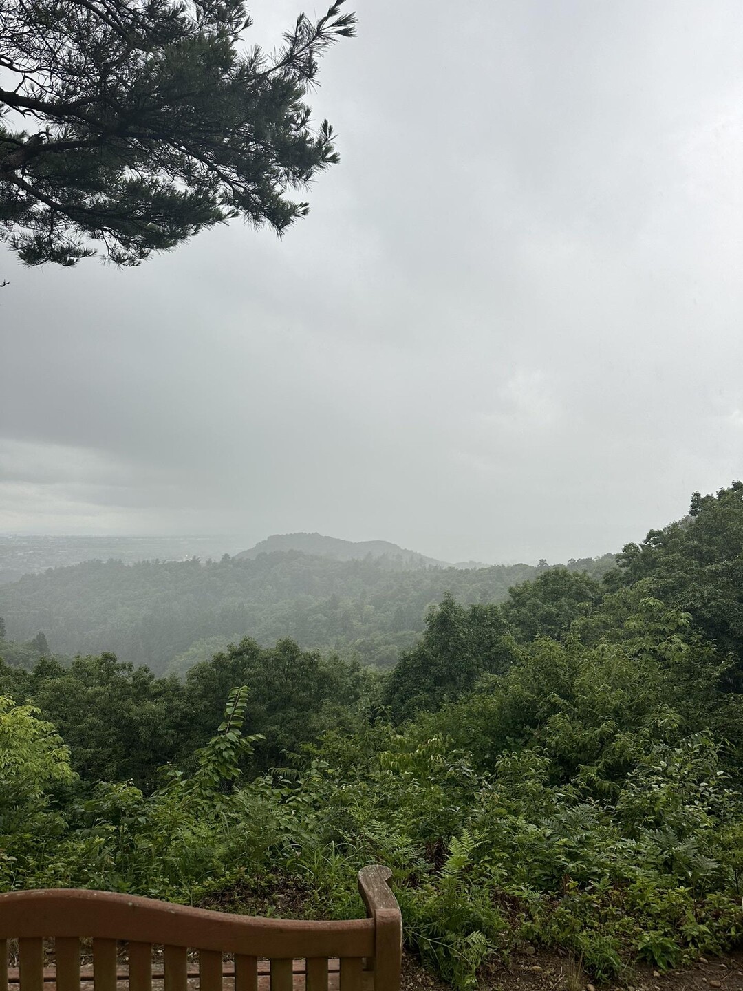 城山ランニング🏃 / kazushiさんのランニングの活動データ | YAMAP / ヤマップ