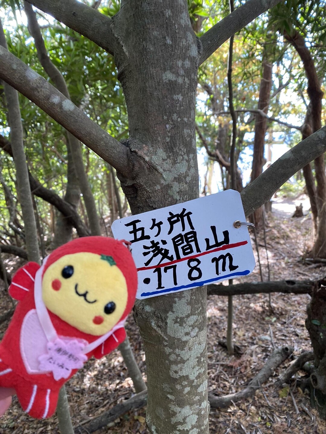 テクテク会登山整備だワン / chiiiyanさんの南伊勢町の活動データ | YAMAP / ヤマップ