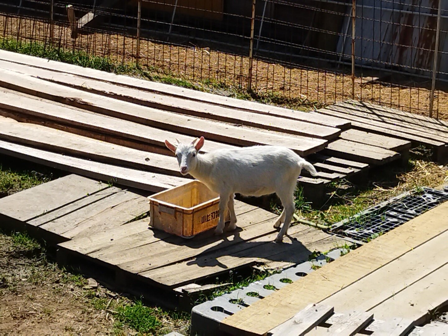 今日は時間が無くて20K，2時間のラン。... / masaさんのモーメント | YAMAP / ヤマップ