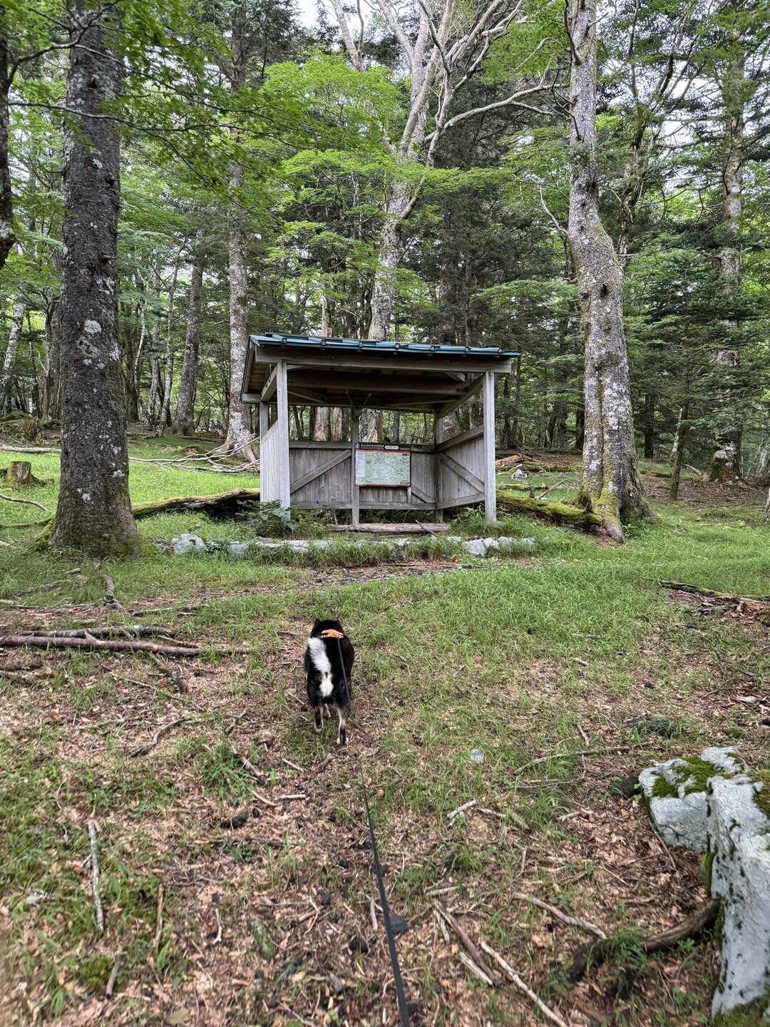 富士山徘徊 水ヶ塚Pからナムサン / ta614さんの富士山の活動データ | YAMAP / ヤマップ