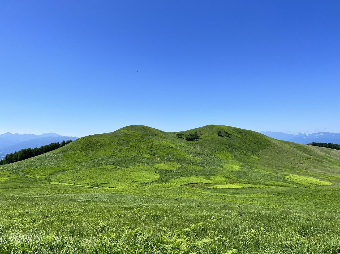 魅惑の「ガボッチョ」へ！ / NBさんの霧ヶ峰・車山・大笹峰の活動データ | YAMAP / ヤマップ