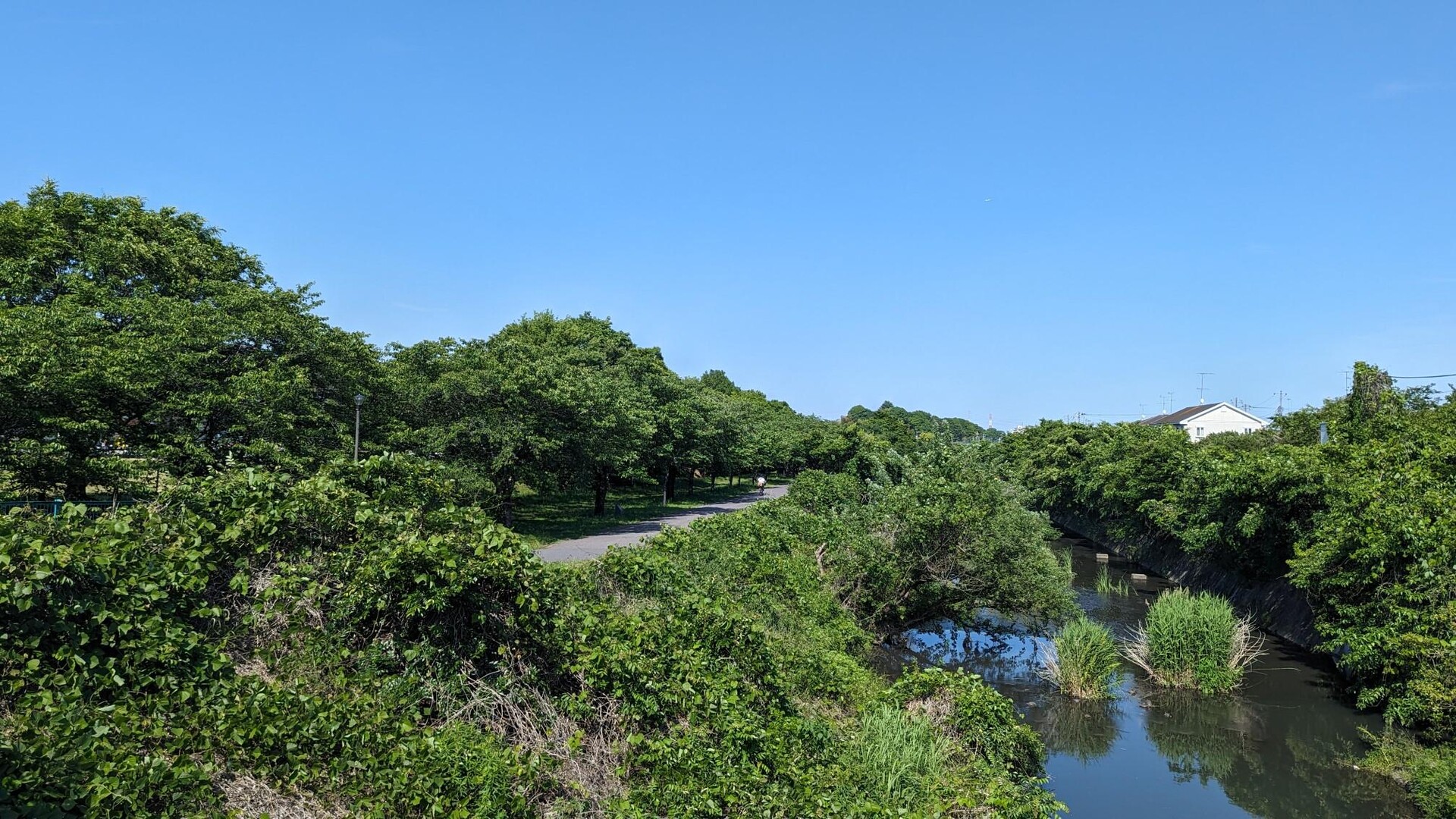 手賀沼ランニング-2024-05-17 / TK54さんのランニングの活動データ | YAMAP / ヤマップ