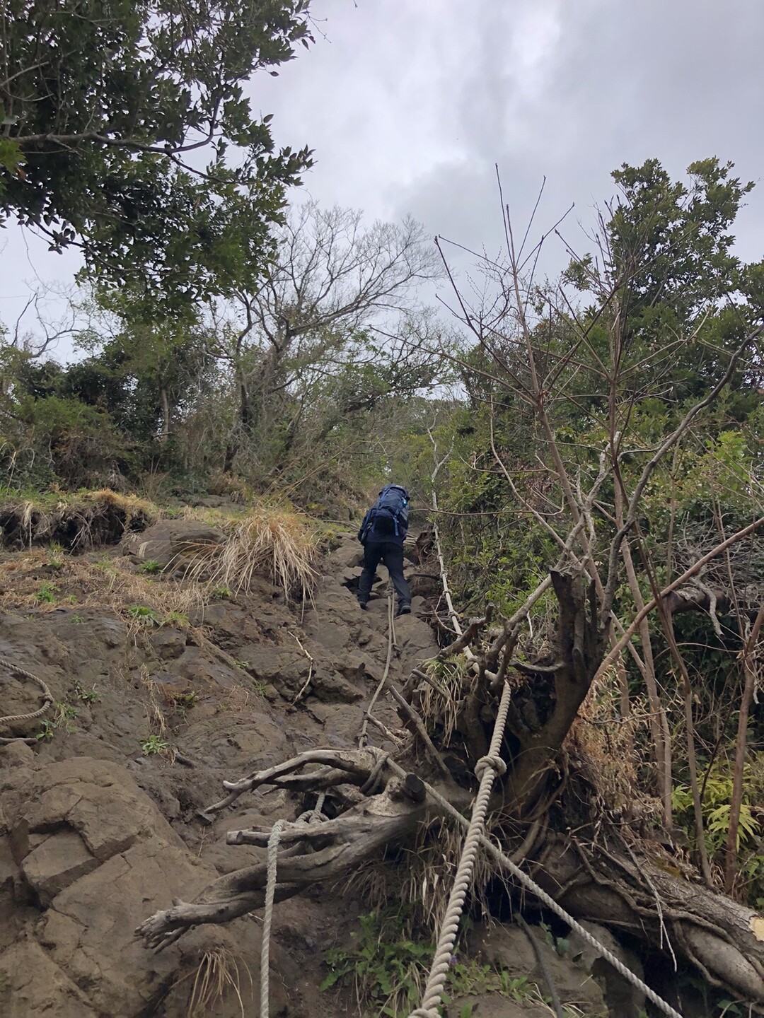 伊予ヶ岳(南峰)・伊予ヶ岳(北峰) / tykmktさんの伊予ヶ岳・人骨山・津森山の活動データ | YAMAP / ヤマップ