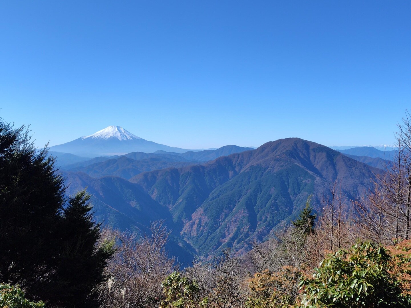 姫次・袖平山 / A1-2075さんの塔ノ岳・丹沢山・蛭ヶ岳の活動データ | YAMAP / ヤマップ