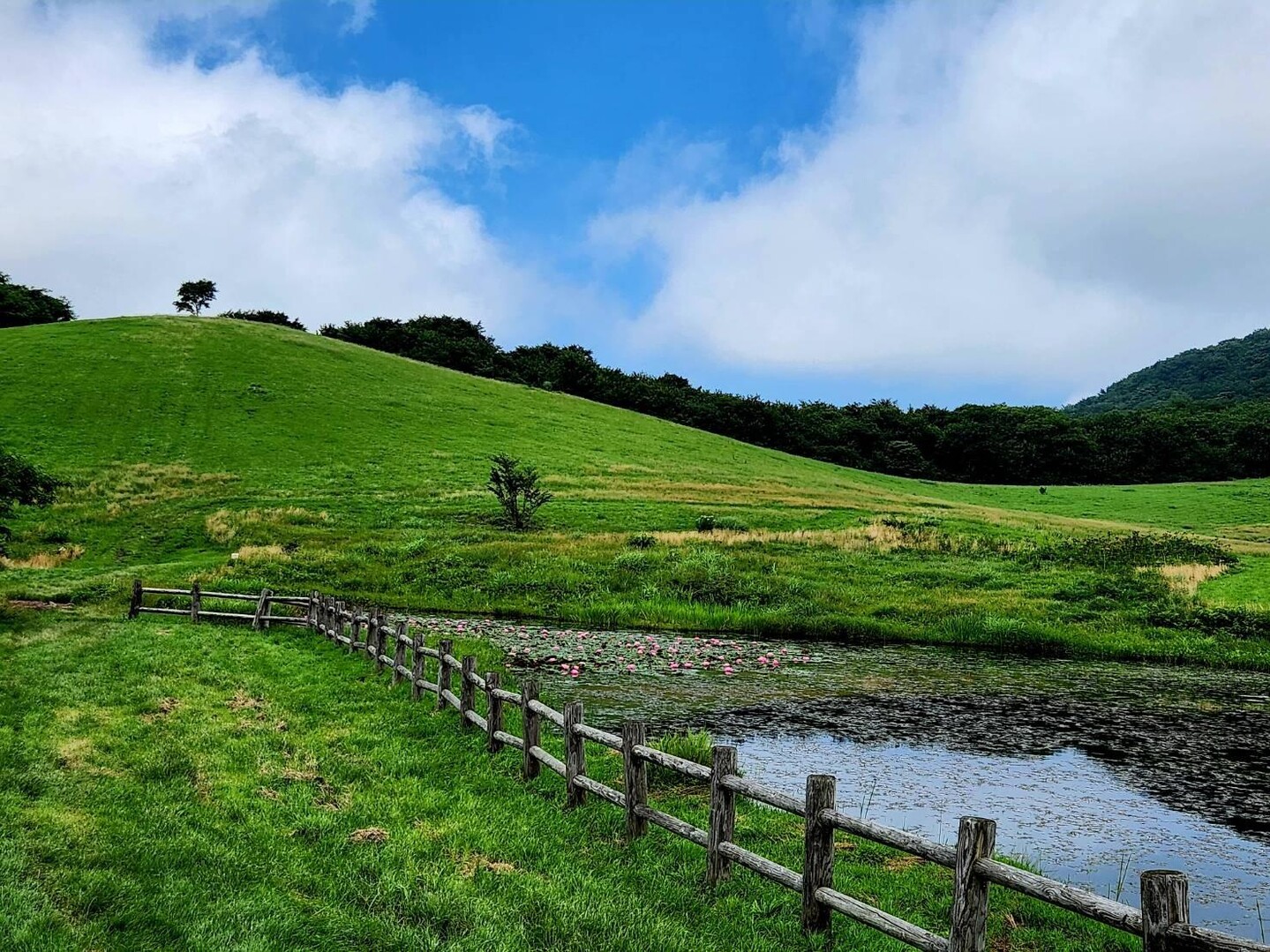 吾妻山 / yukkyさんの比婆山・立烏帽子山・吾妻山の活動データ | YAMAP / ヤマップ