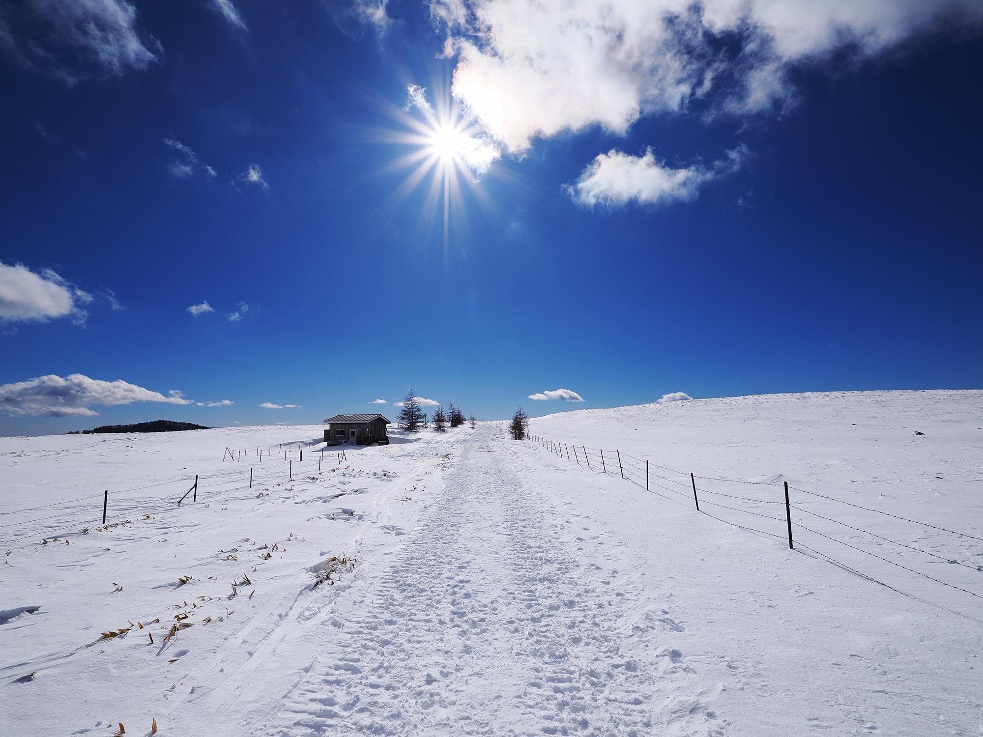 美ヶ原（長野県松本市） / JunJunさんの美ヶ原の活動データ | YAMAP / ヤマップ