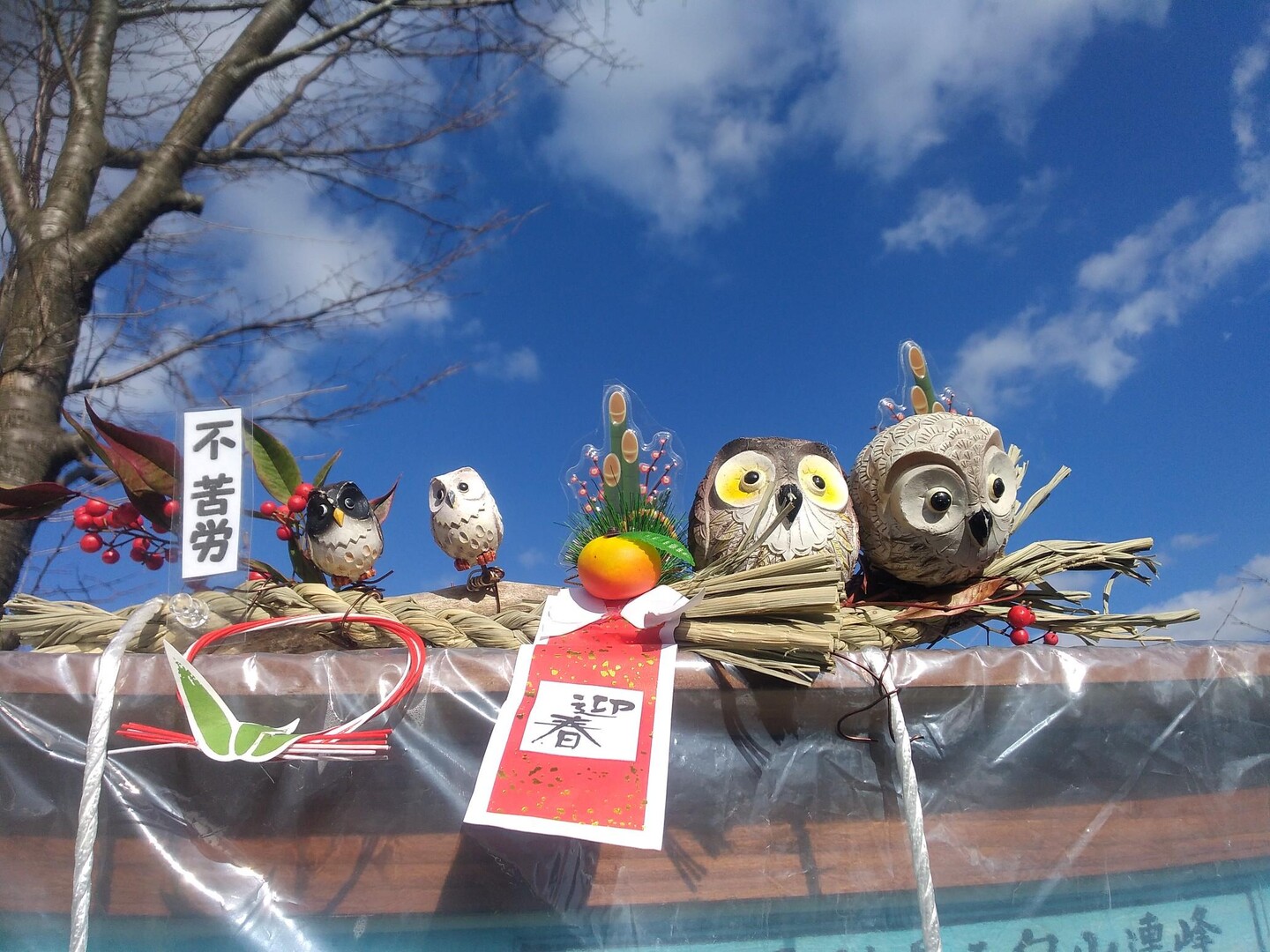 雪なくてMJできたよ文殊山 / opal糸さんの文殊山の活動データ | YAMAP / ヤマップ