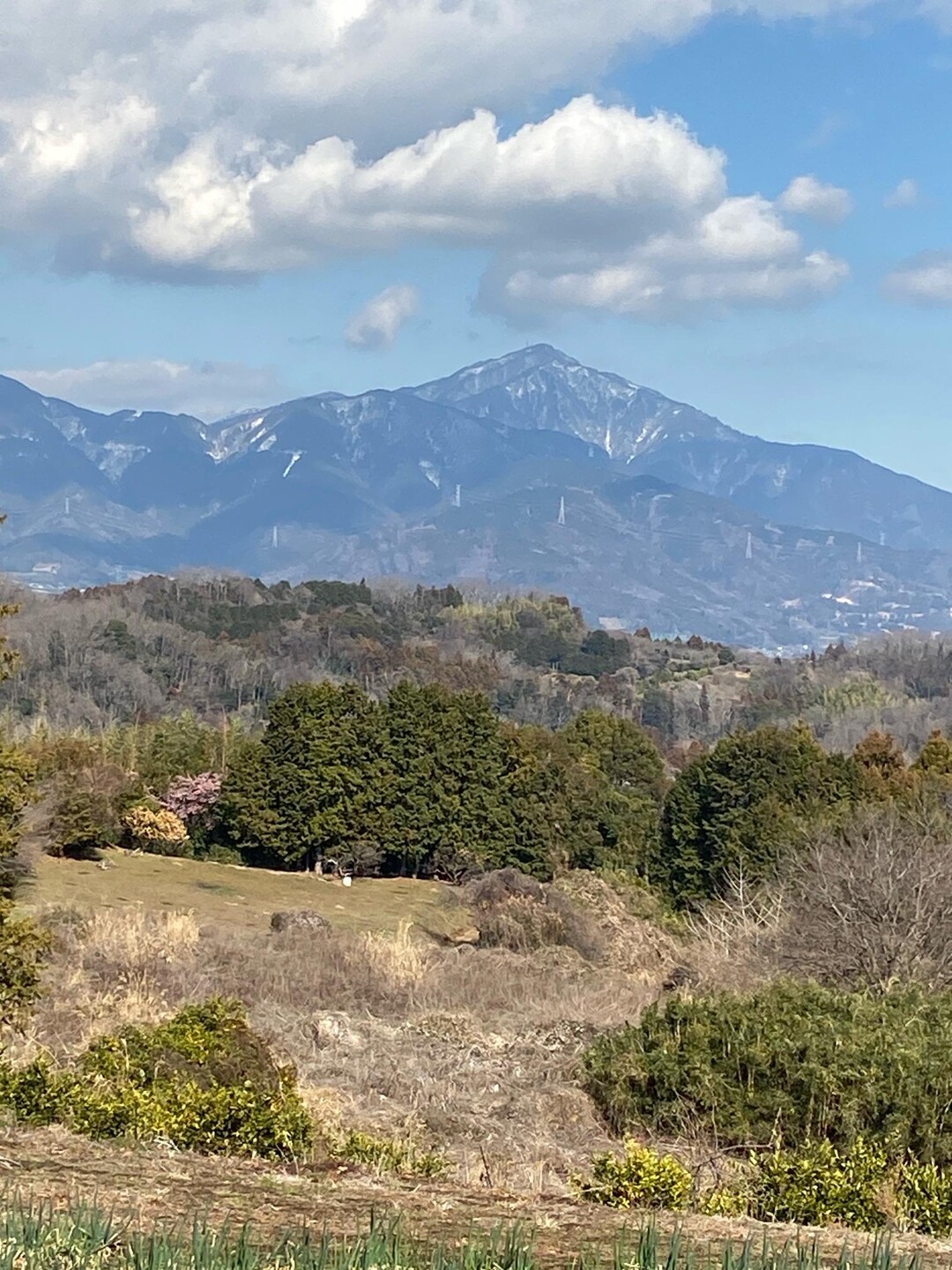 神山 / goqooさんの大山の活動データ | YAMAP / ヤマップ