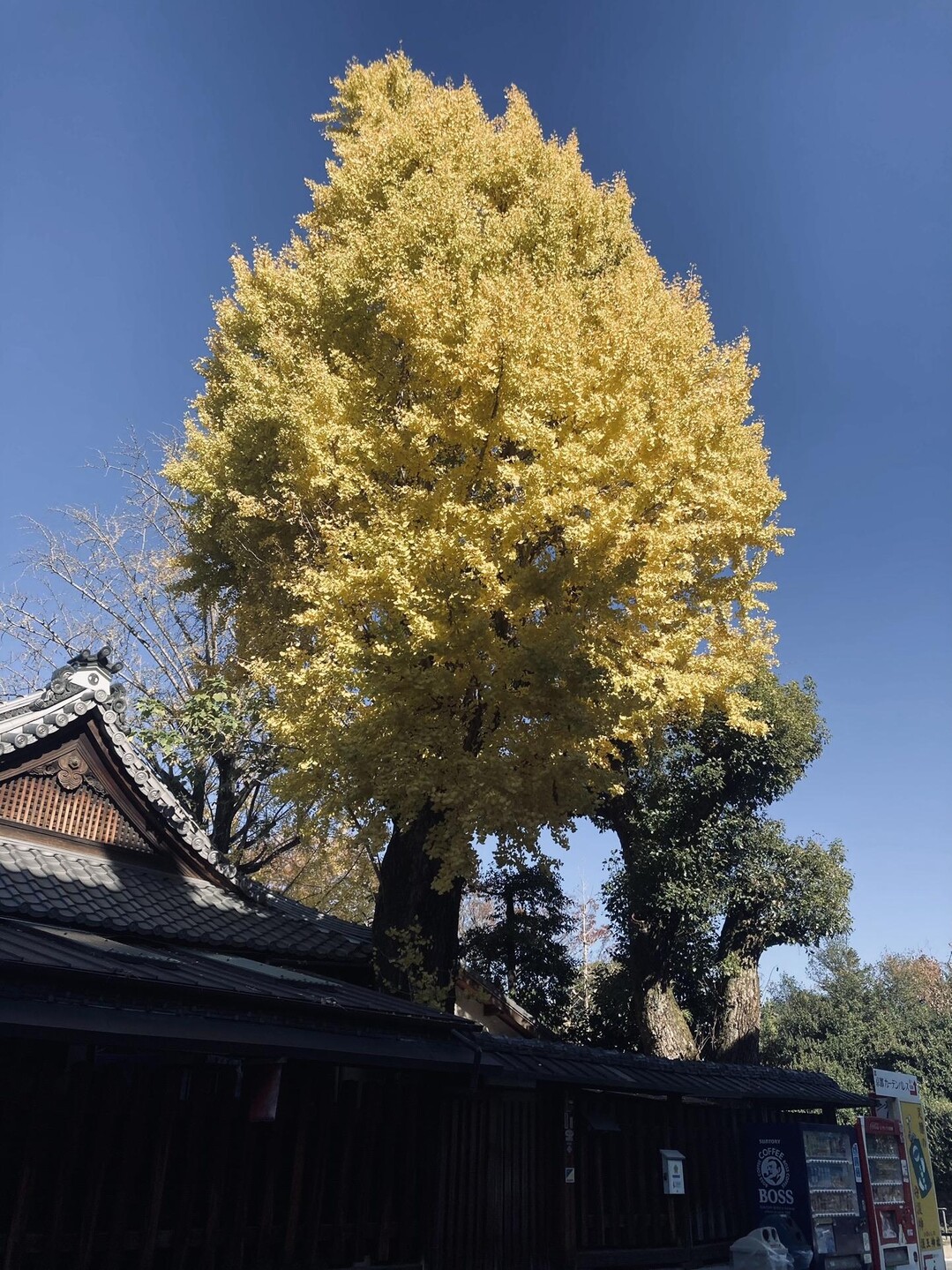 願いよかなえ いつの日か そうなるように... / keloさんのモーメント | YAMAP / ヤマップ