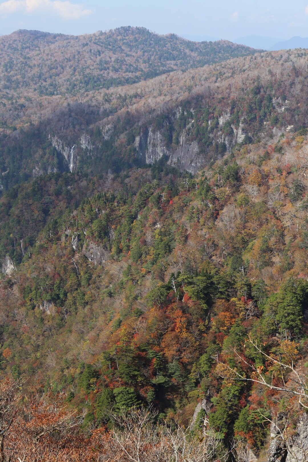 バイクで大台ケ原まで紅葉散策2019-10-31 / tinamtさんの大台ヶ原山・日出ヶ岳・大杉谷の活動データ | YAMAP / ヤマップ