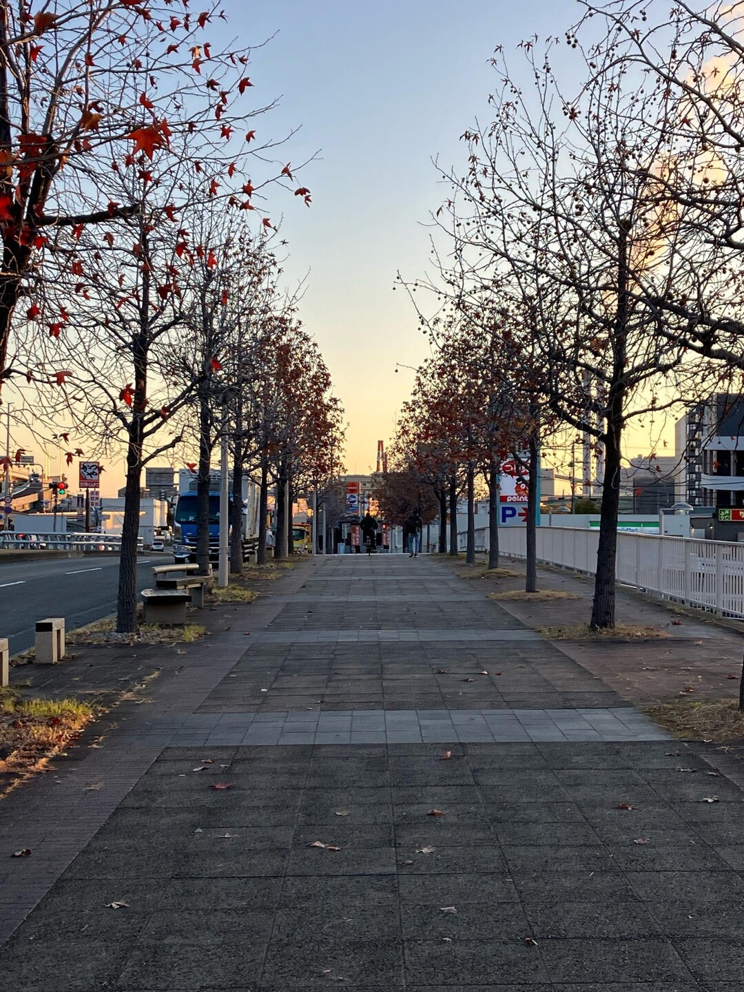 🚶‍♂️指先が悴む季節になりました🚶‍♂️ / masさんのウォーキングの活動データ | YAMAP / ヤマップ