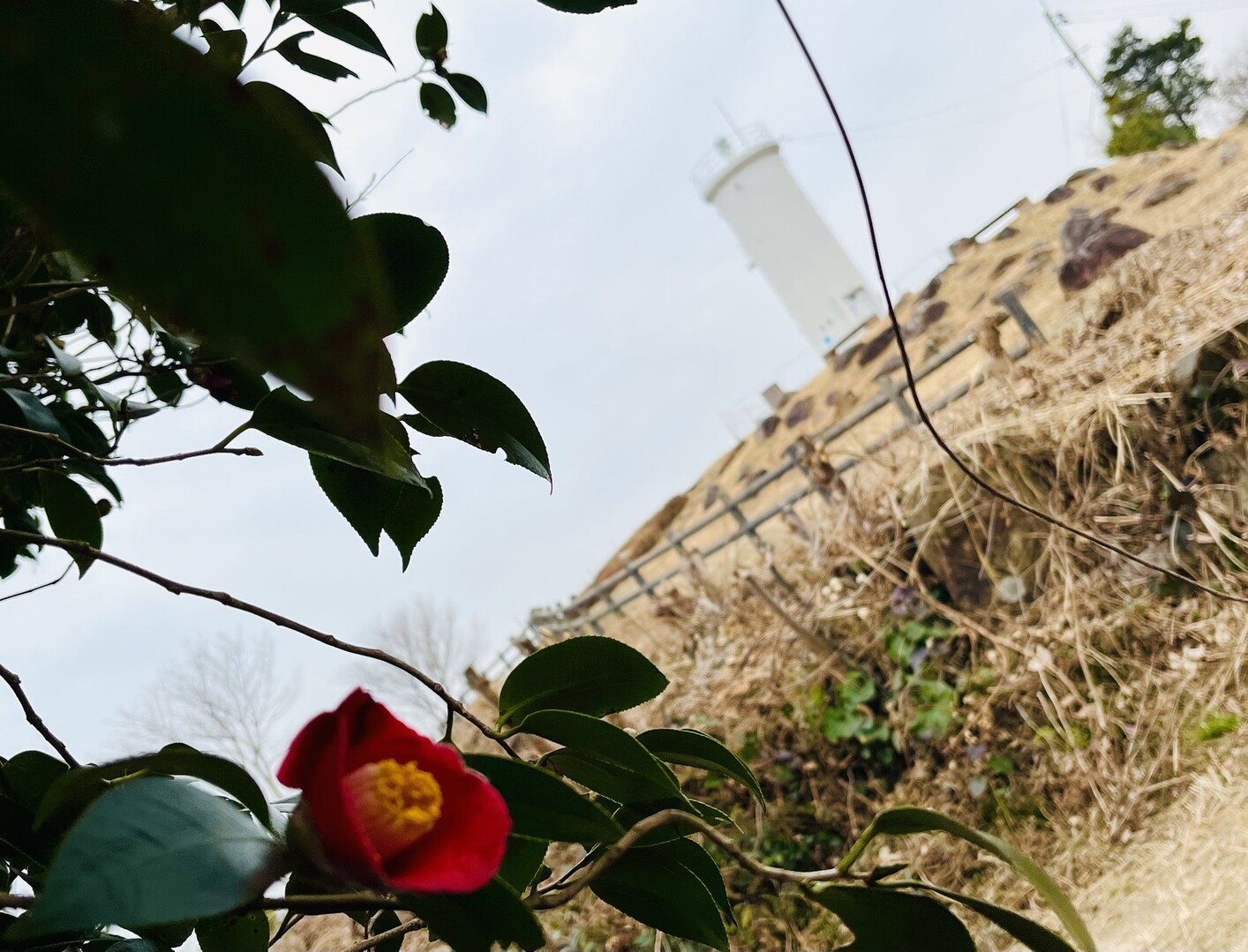 串山、草山、臼美歩道〜低山はしごJOG / hide。さんの火の山・陶ヶ岳の活動データ | YAMAP / ヤマップ