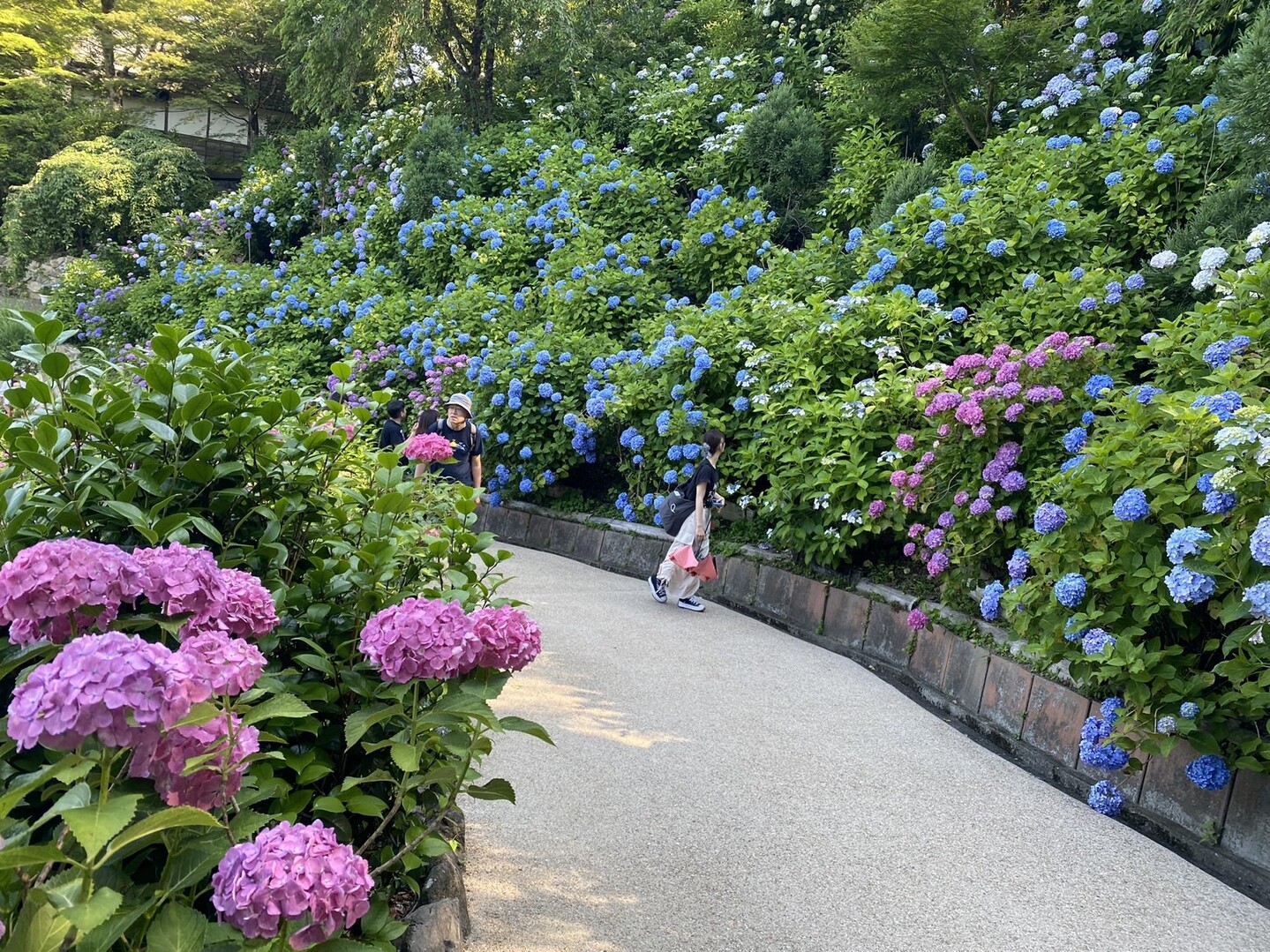 Tennōzan, Yōkoku-ji, Yoshiminedera, Jūrin-ji / thaonguyenさんのポンポン山・釈迦岳・小塩山・若山の活動データ | YAMAP / ヤマップ