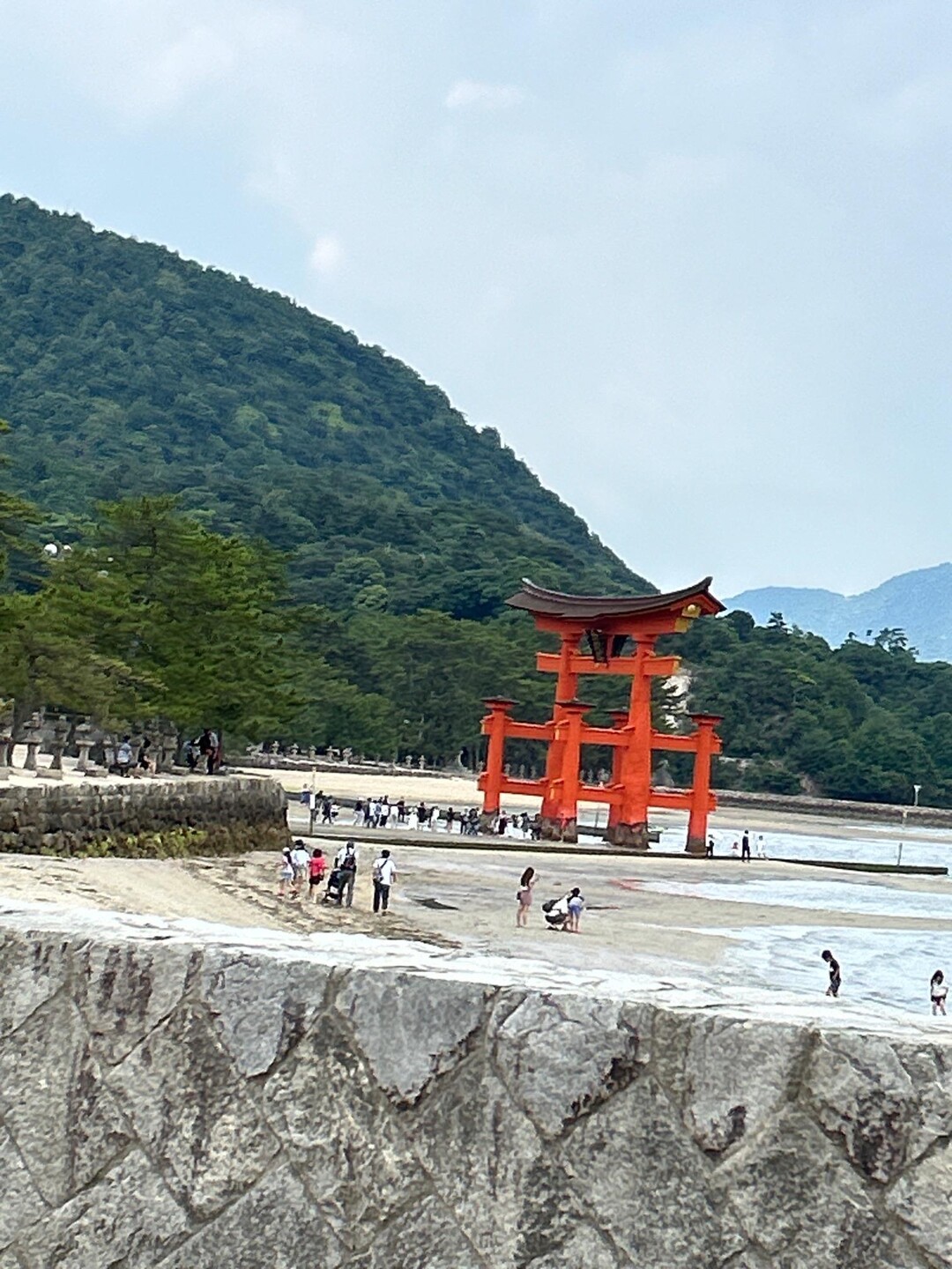 宮島（要害山・駒ヶ林・三剣山・弥山）2024.6.15 / yumi minさんの宮島（厳島）・弥山の活動データ | YAMAP / ヤマップ