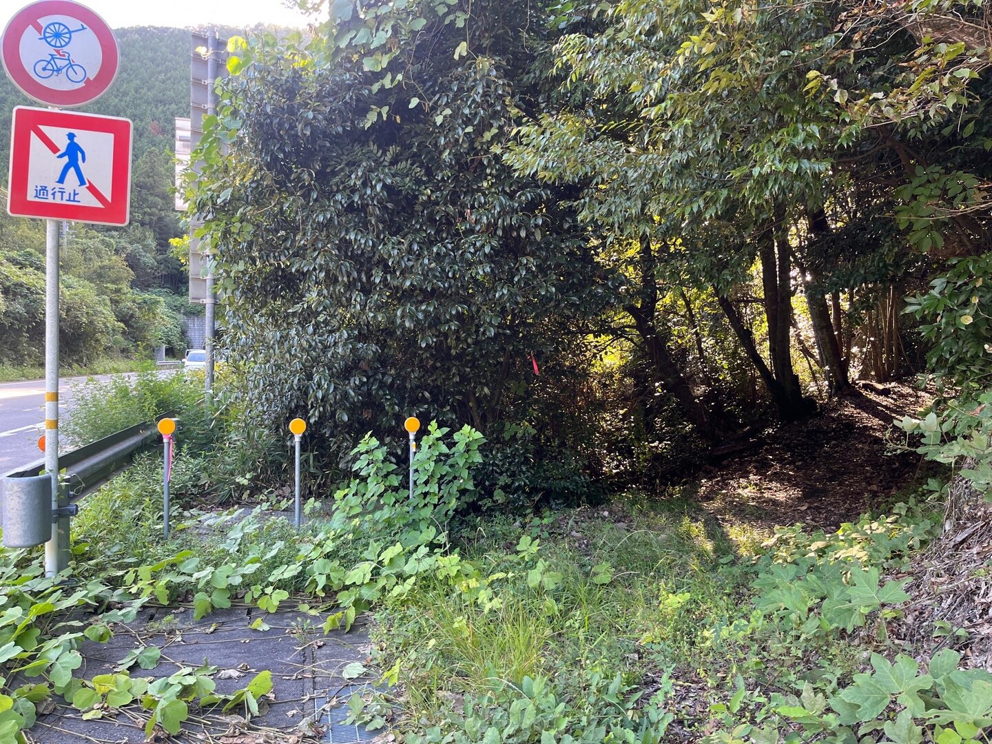 mamiさんの投稿したフィールドメモ | YAMAP / ヤマップ