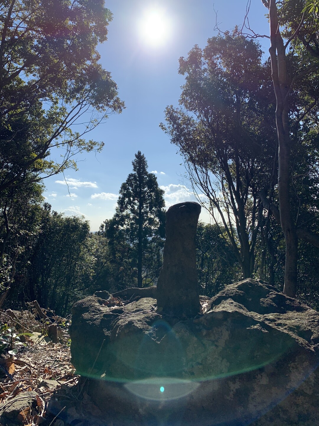 美祢の御伊勢山⛰ / koma_xさんの桜山の活動データ | YAMAP / ヤマップ